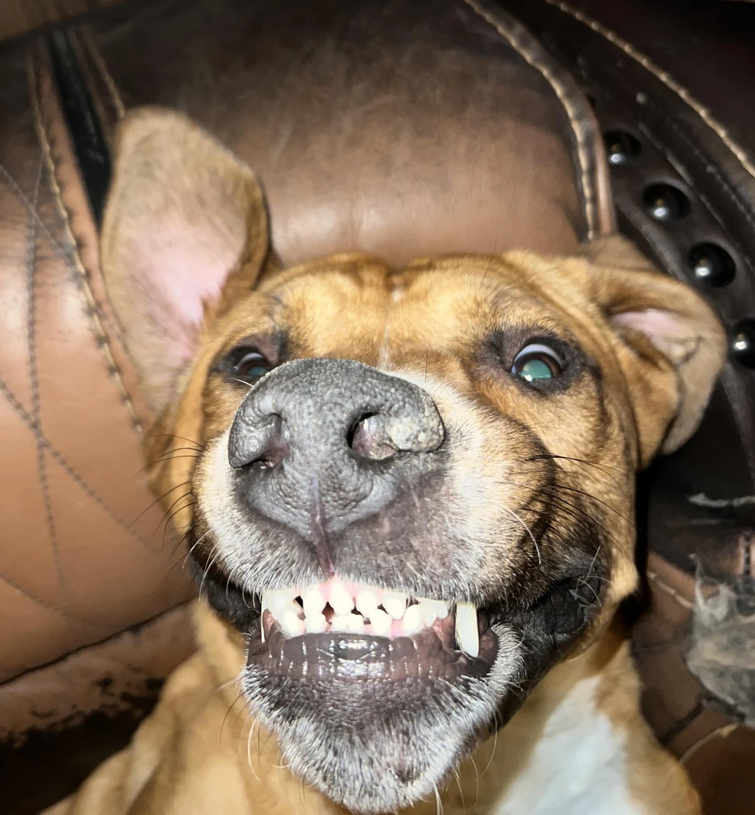 Say cheese! | Scrolller