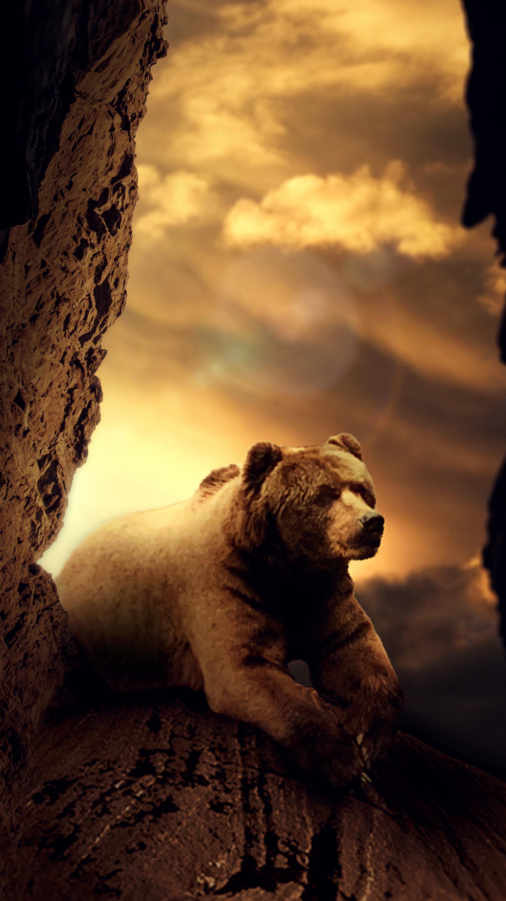 Grizzly Cave, Me, Digital, 2022 | Scrolller