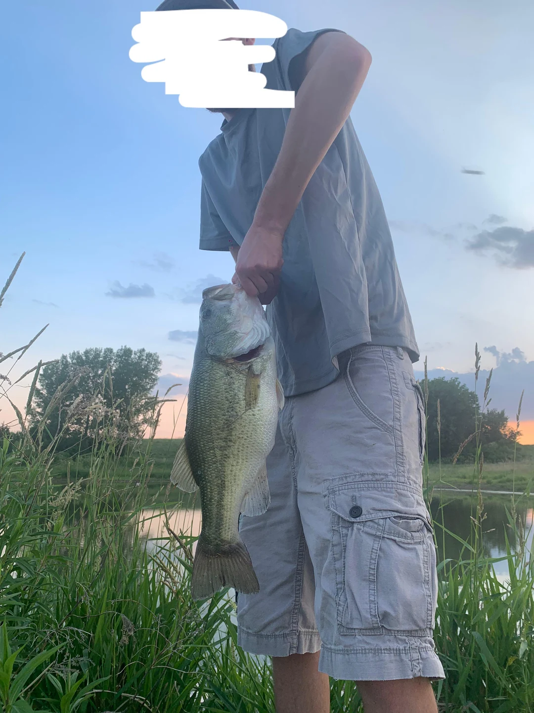 Large Mouth Bass | Scrolller