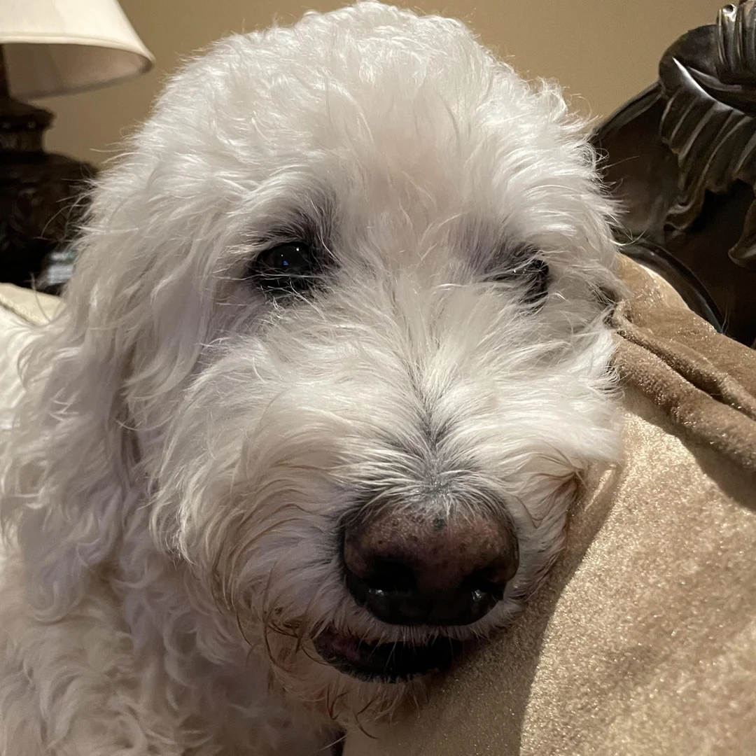 A very polite smile | Scrolller