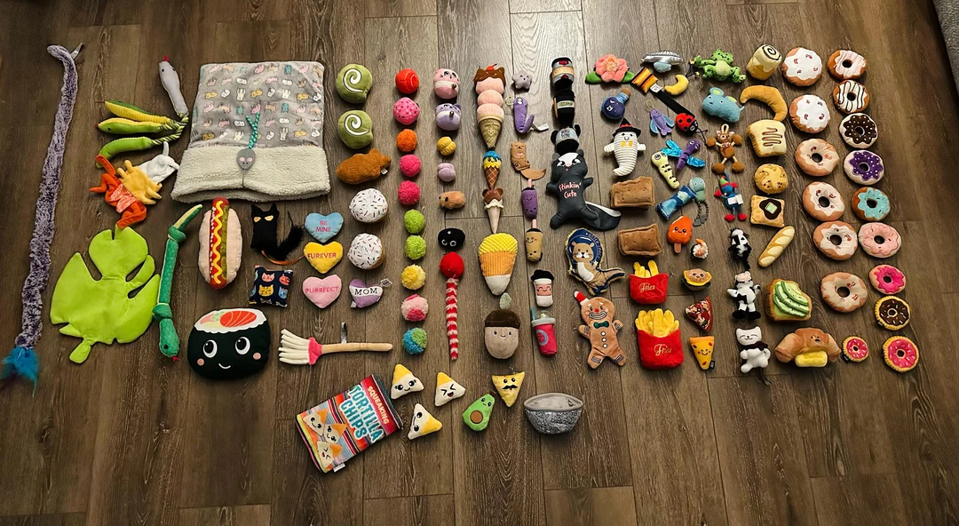 When you clear their under the couch toy stash | Scrolller