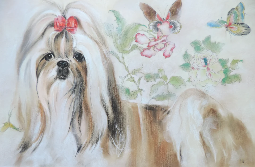 Shih Tzu, Marina Boris (me), pastel & cardboard, 2012 | Scrolller