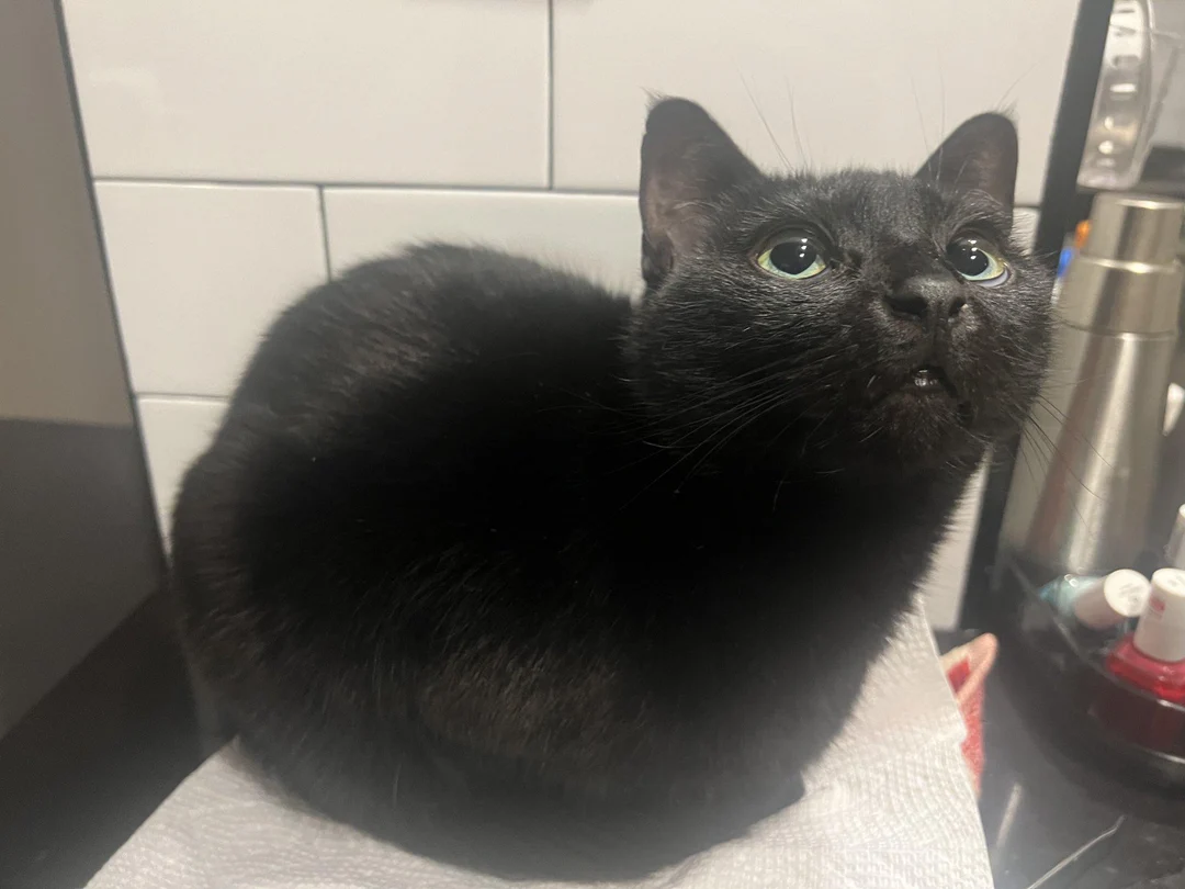 Perfect Form | Scrolller