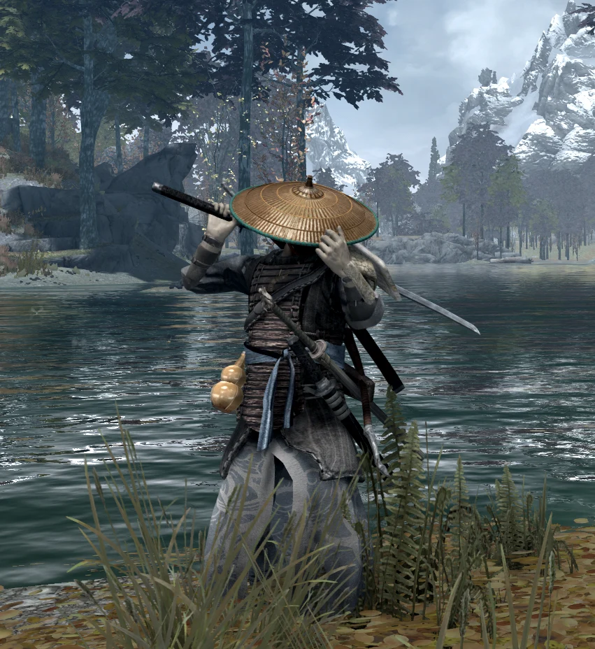 Wandering ronin build I've been playing with | Scrolller