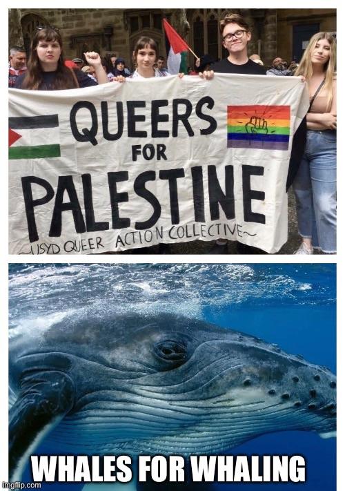 maybe choose a different cause… | Scrolller