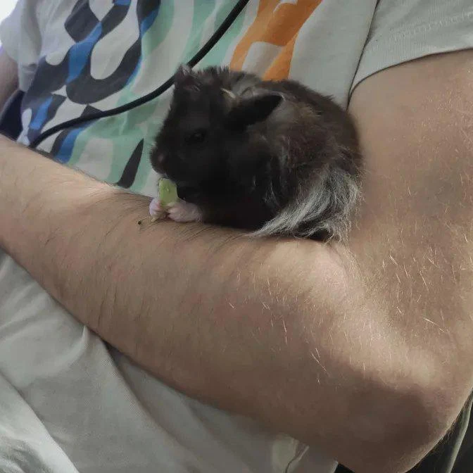 Perfectly fluffy, perfectly round | Scrolller