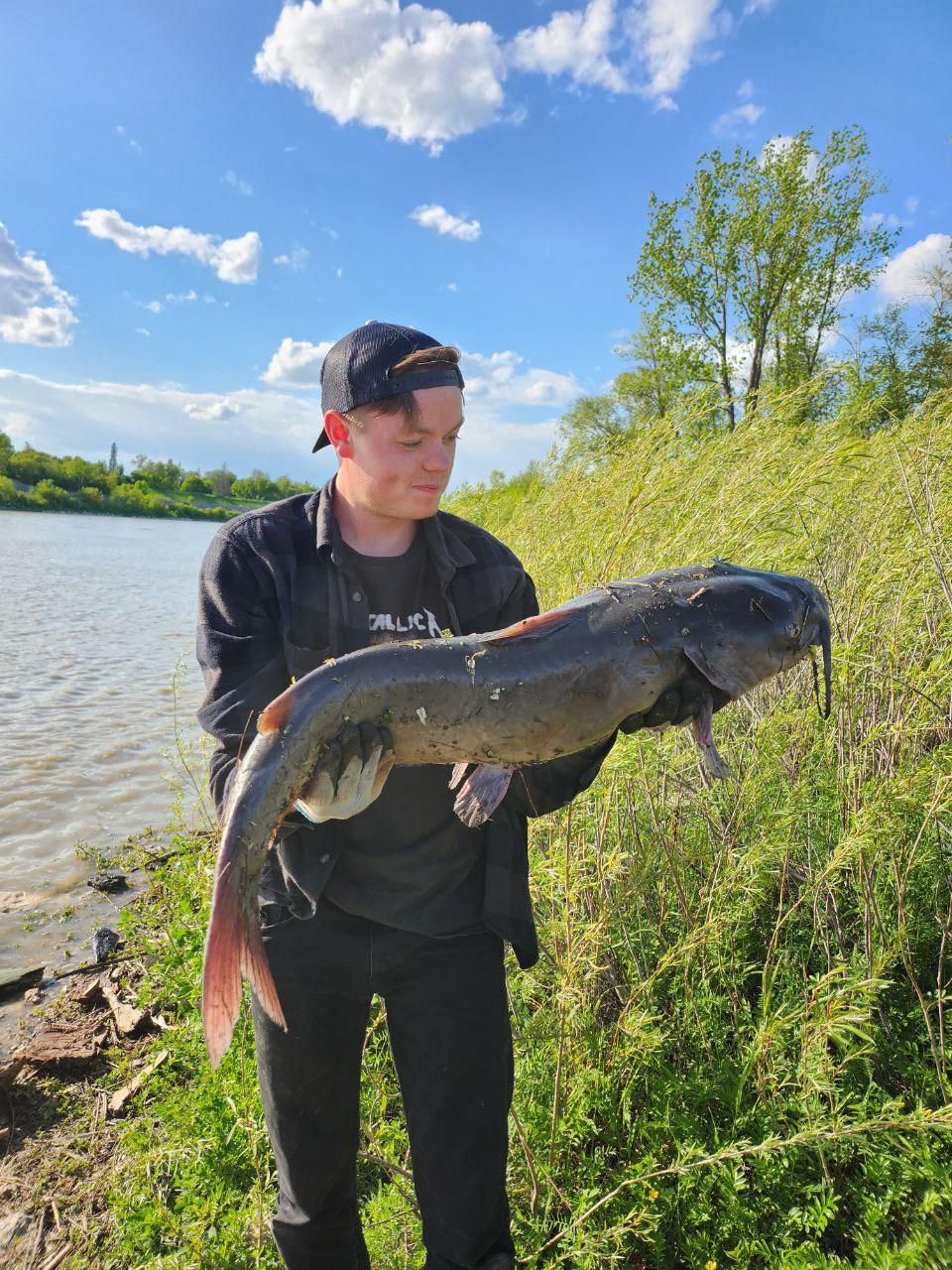 Caught my first master angler Catfish | Scrolller