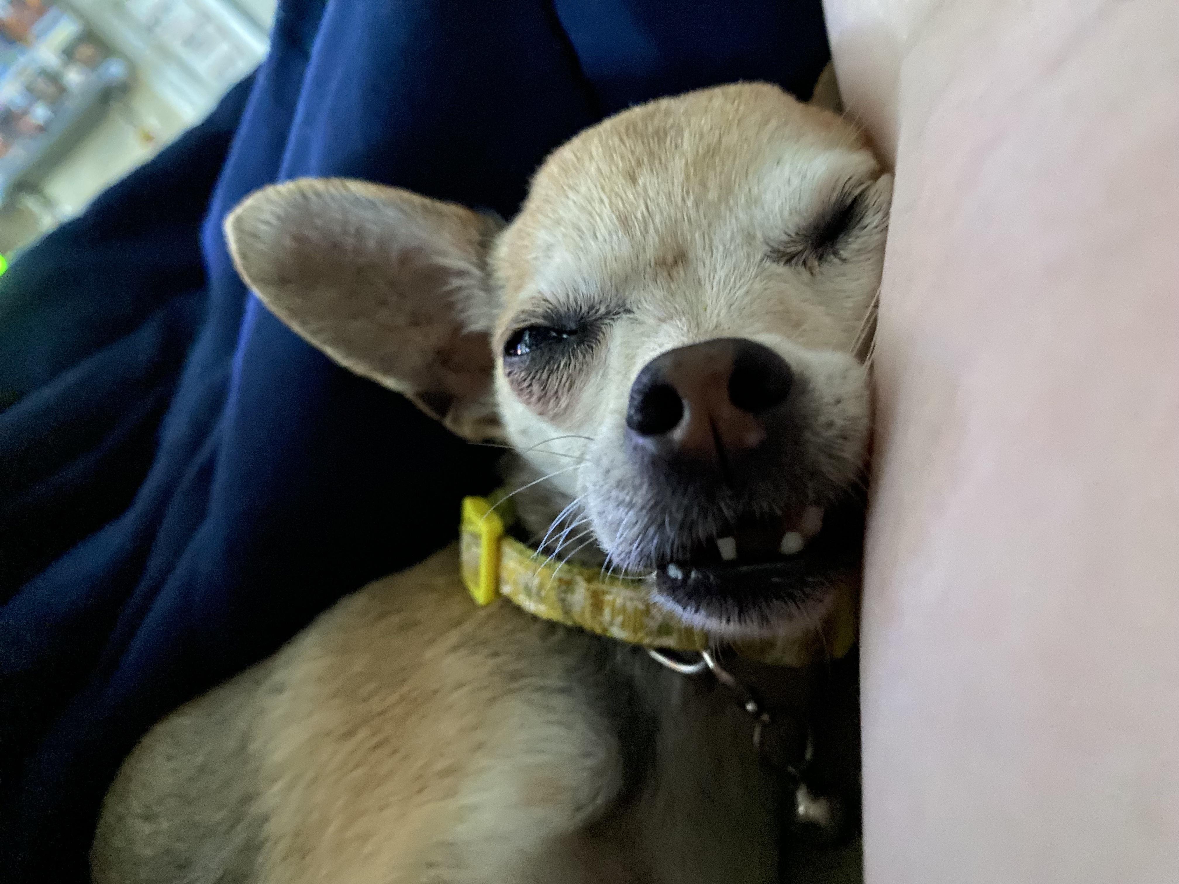 My peanut | Scrolller