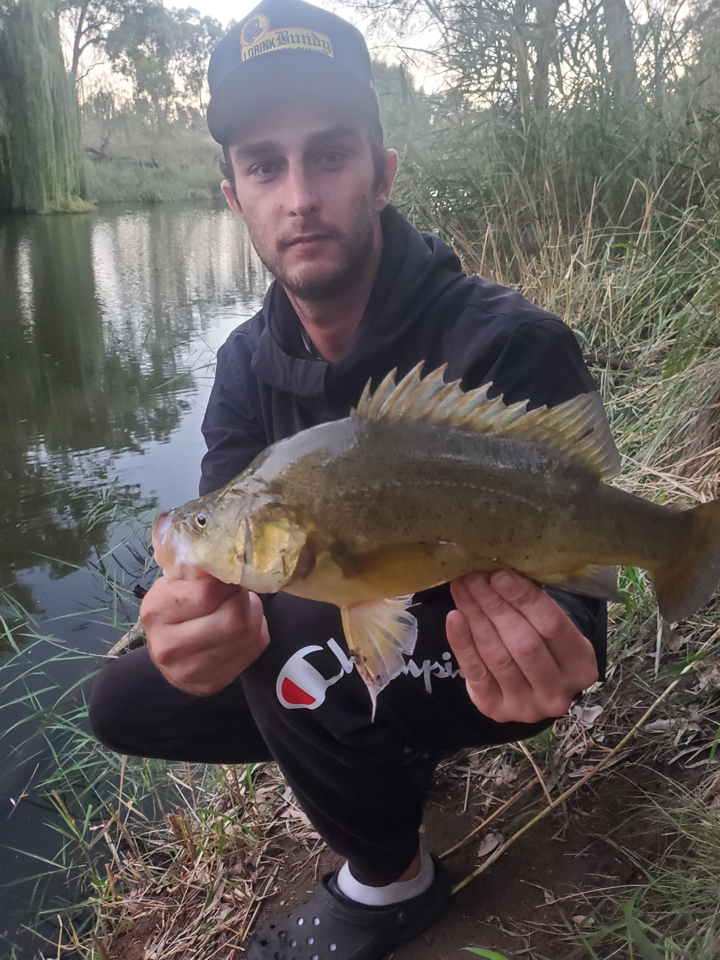 Good round of Yellow belly. AU | Scrolller