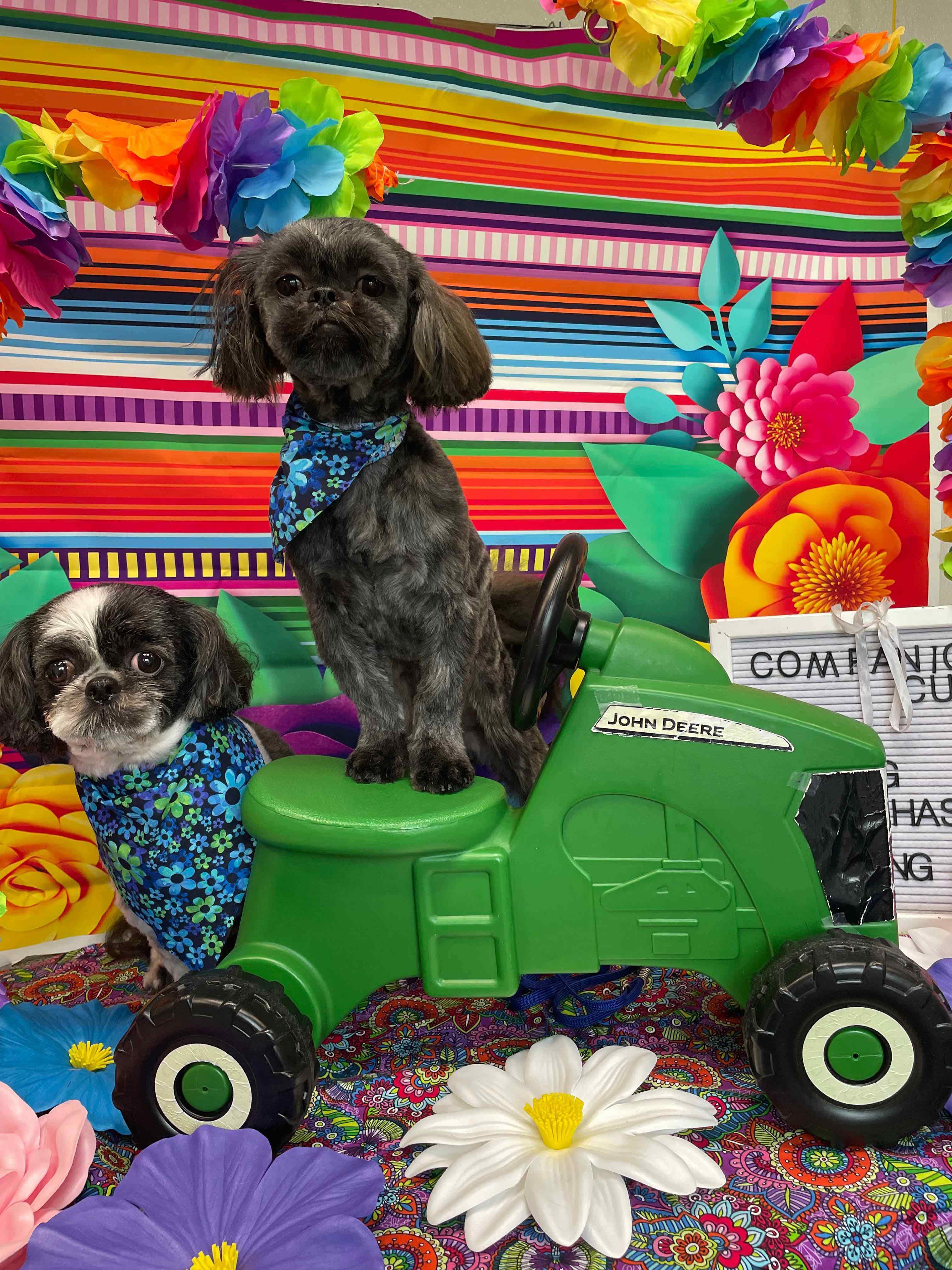 Photo Shoots | Scrolller