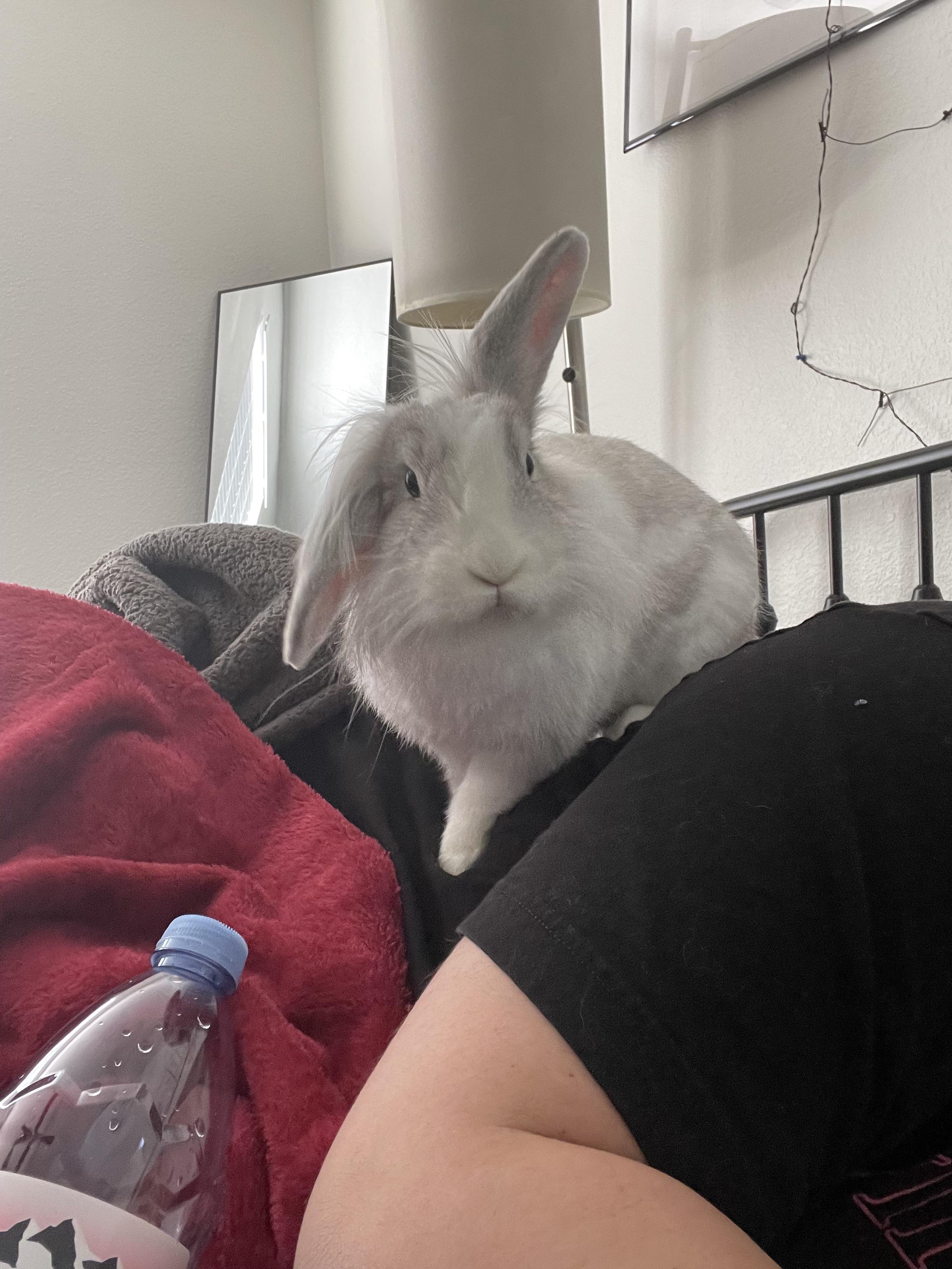 I’m not allowed to relax | Scrolller