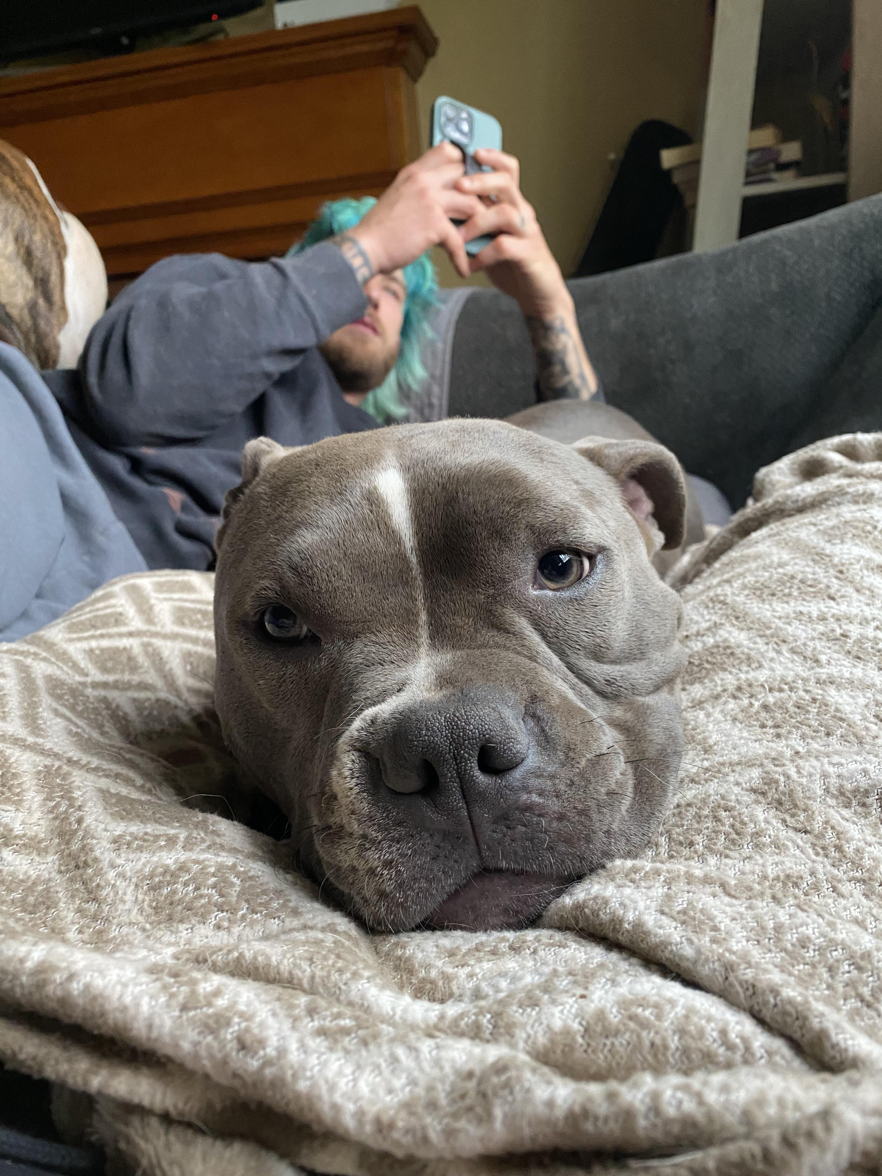 A hippo and a derp. | Scrolller