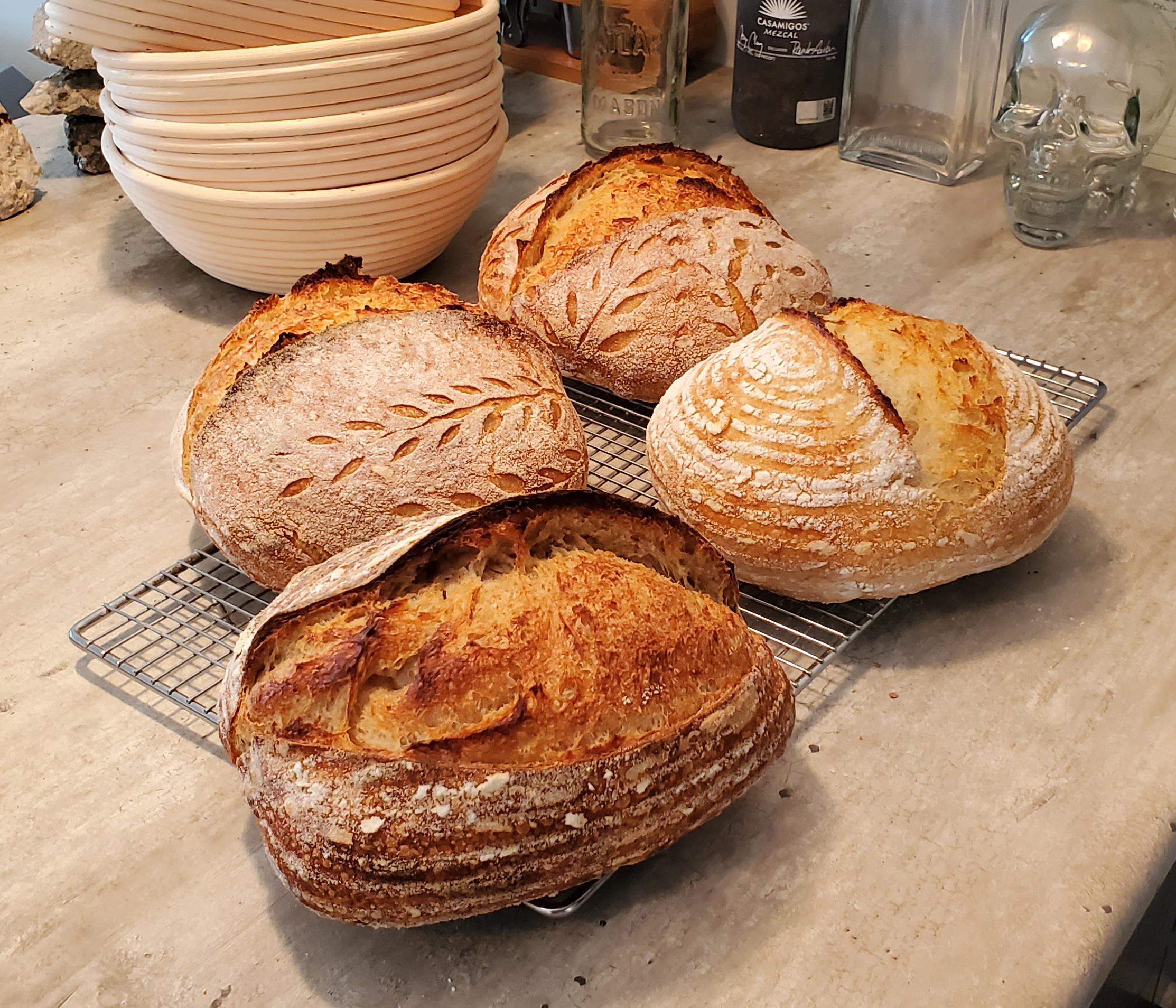 Discover more like Breadit: Labour Loaves and Related Content | Scrolller