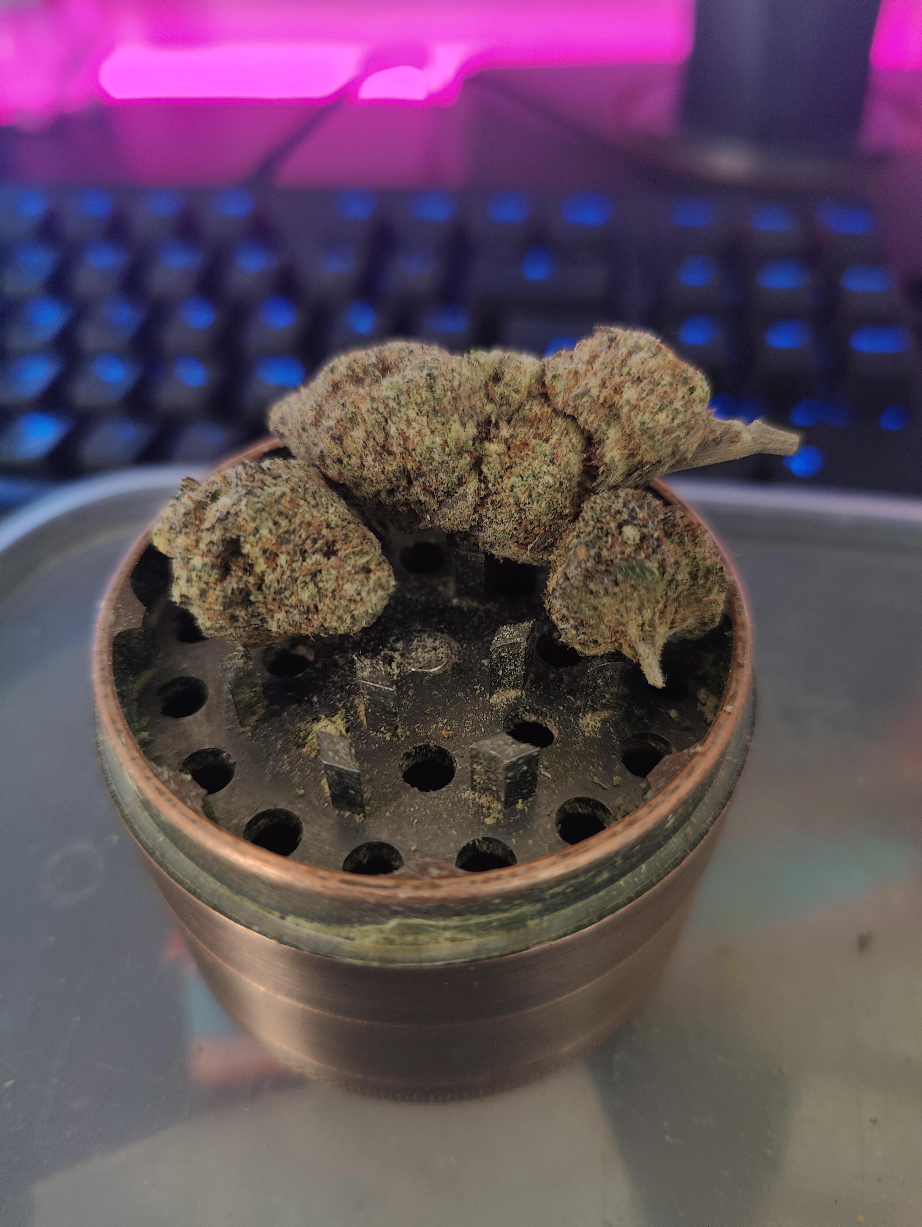 Candy jack | Scrolller