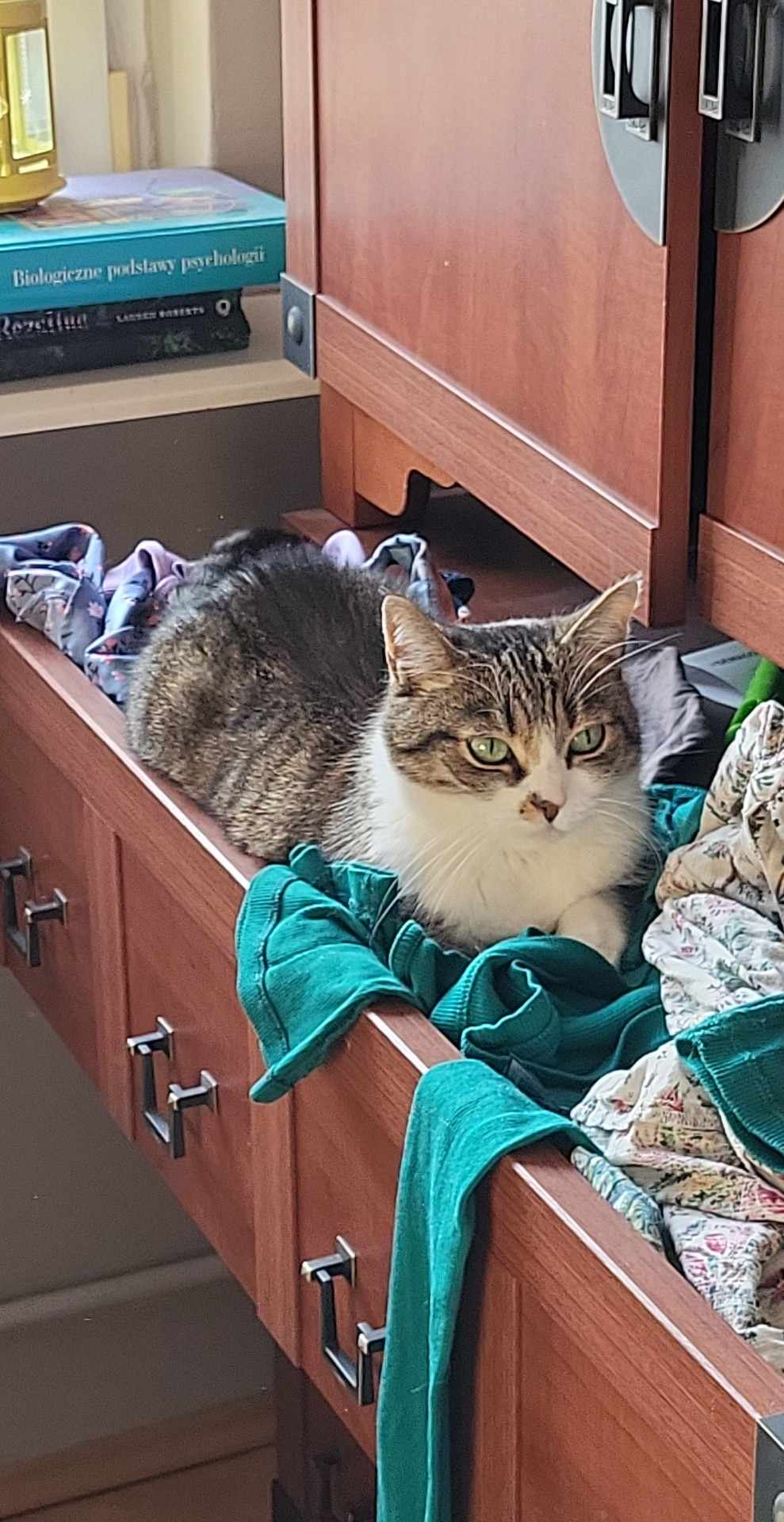 Before and after stremtch | Scrolller