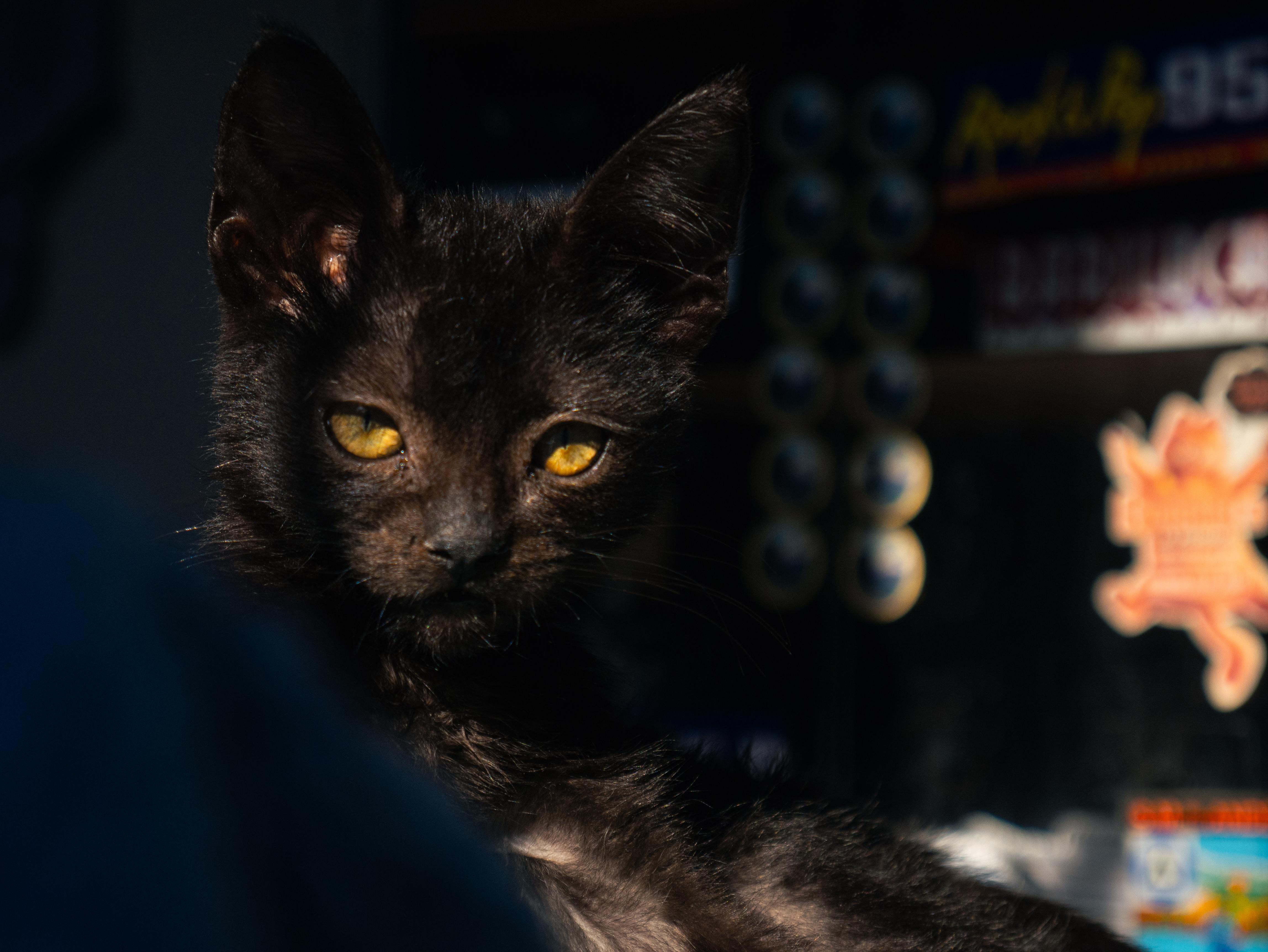 The glow up of my little void, Tita🥰 | Scrolller