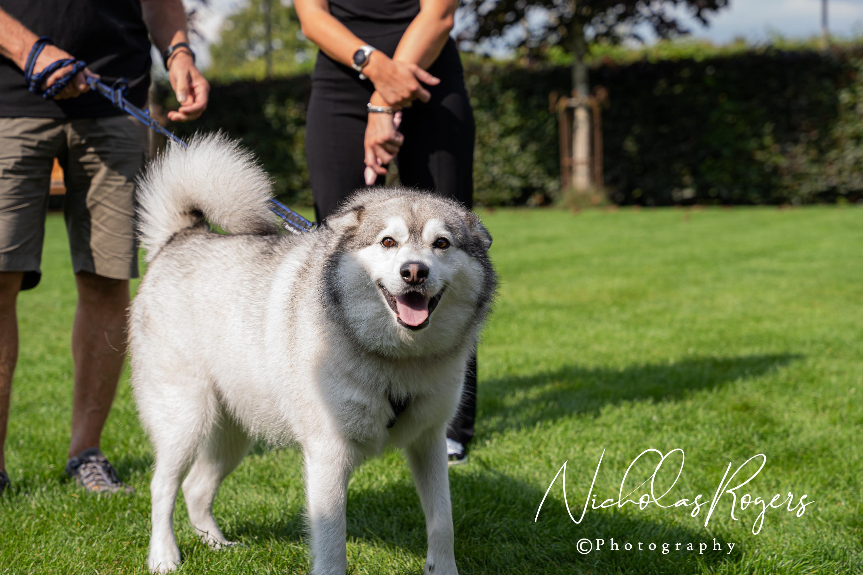 Our fluffy little man was our guest of honour | Scrolller