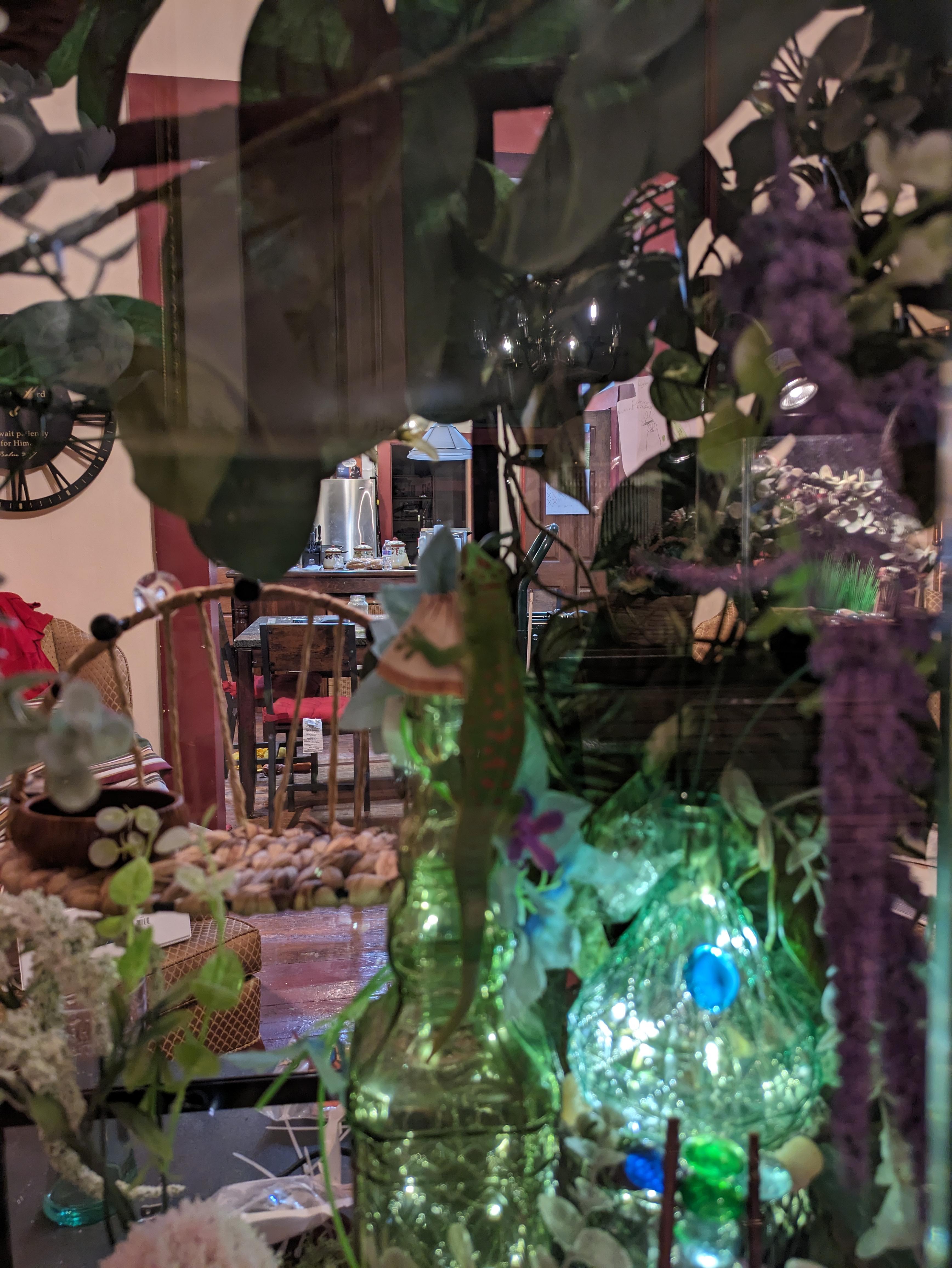 Giant day gecko terrarium | Scrolller