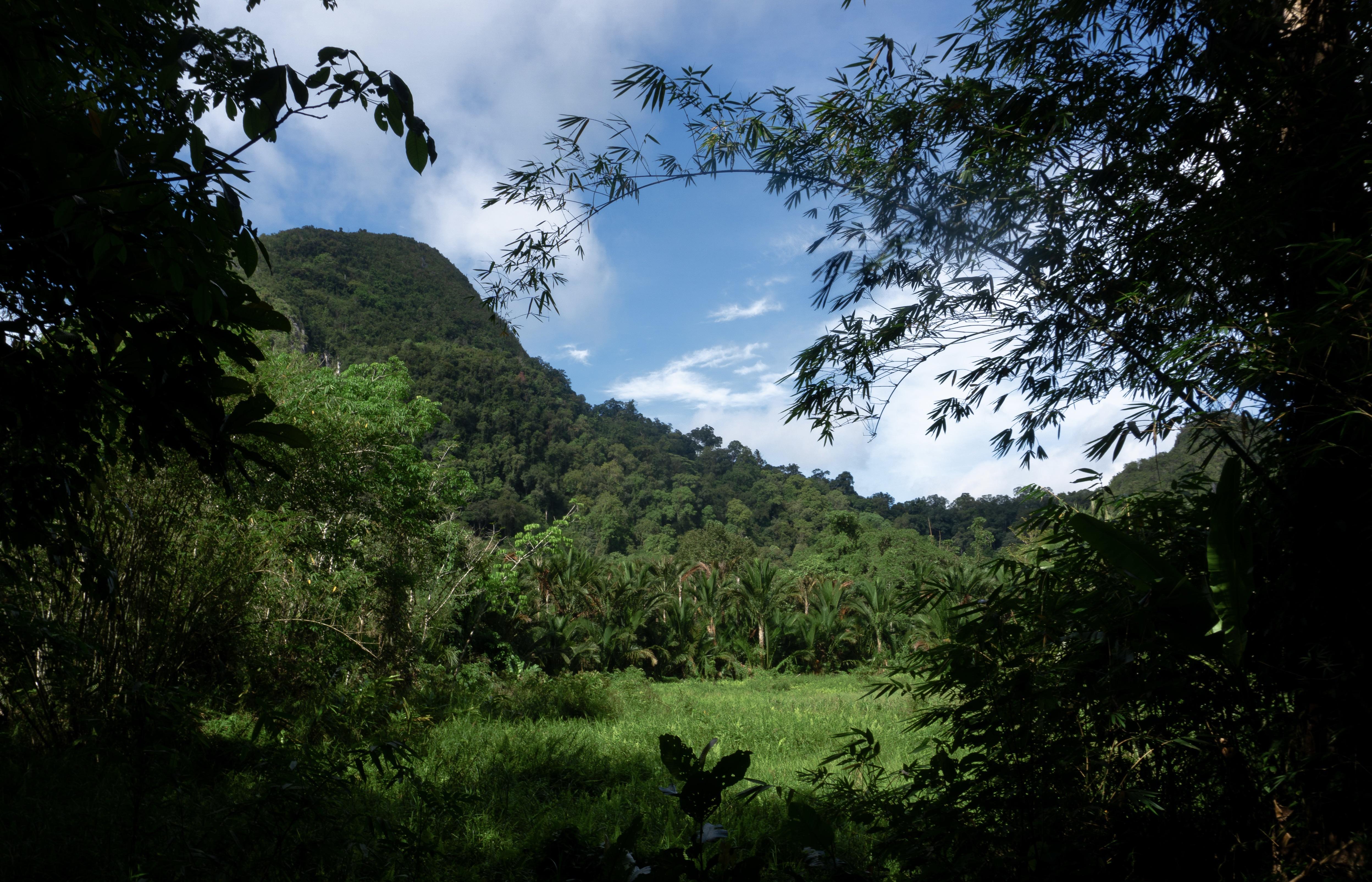 Beginner with the tried and true A6000 with kit lens. | Scrolller