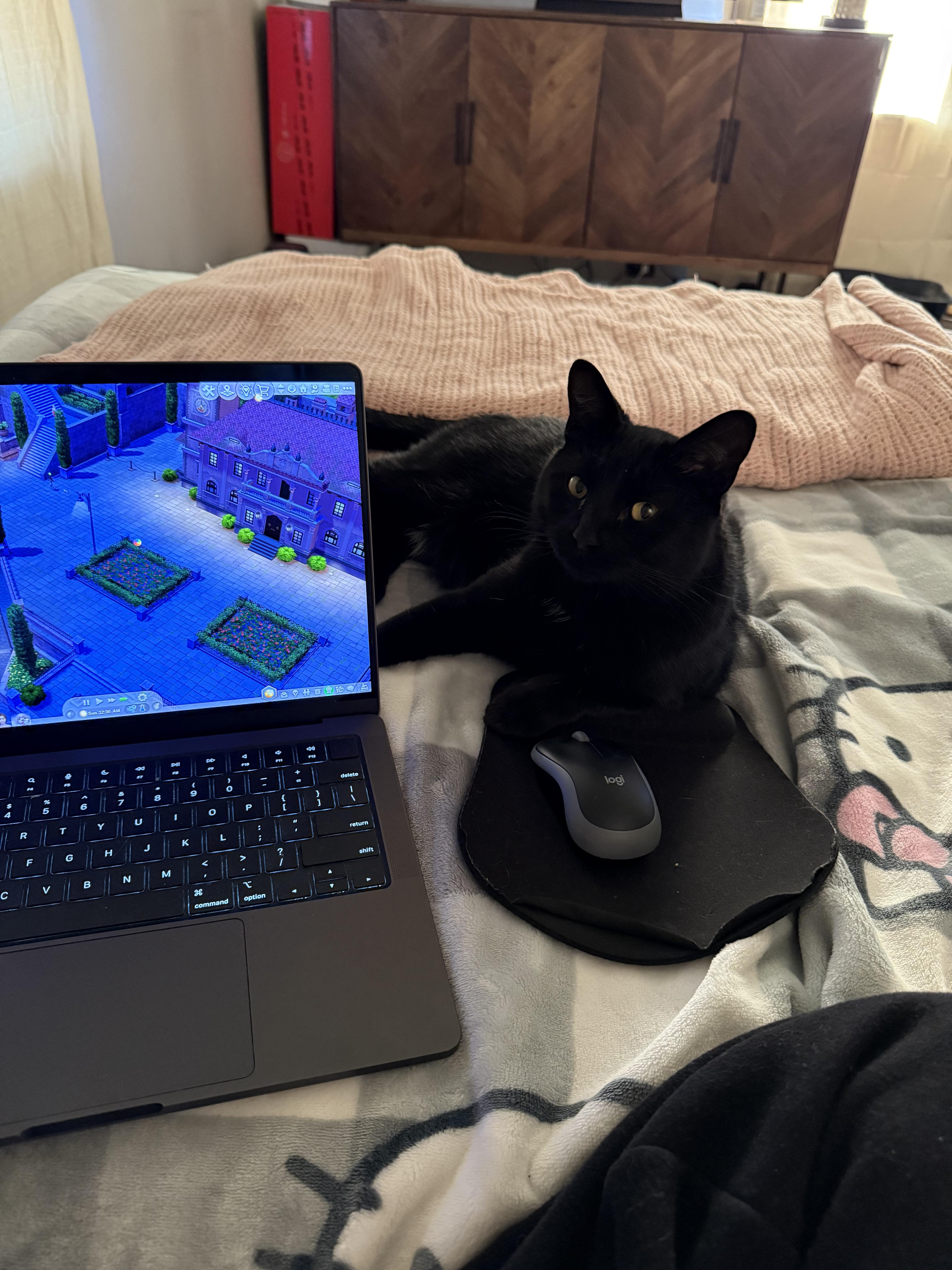 Discover more like VoidCats: Little void and Related Content | Scrolller