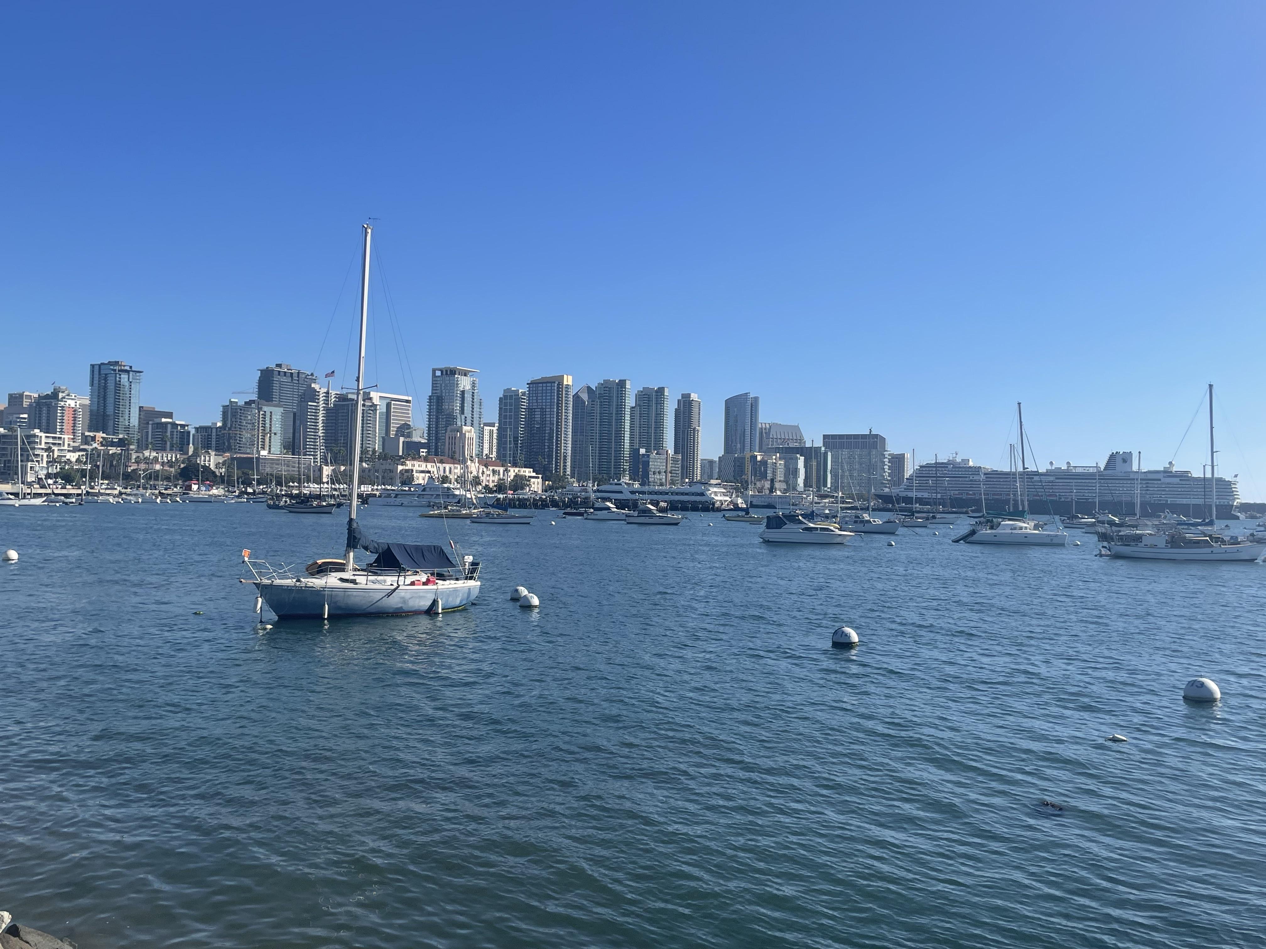 Paradise | Scrolller