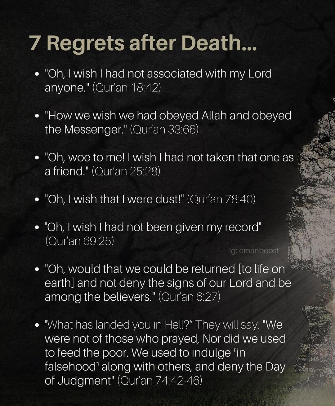 7 Regrets | Scrolller