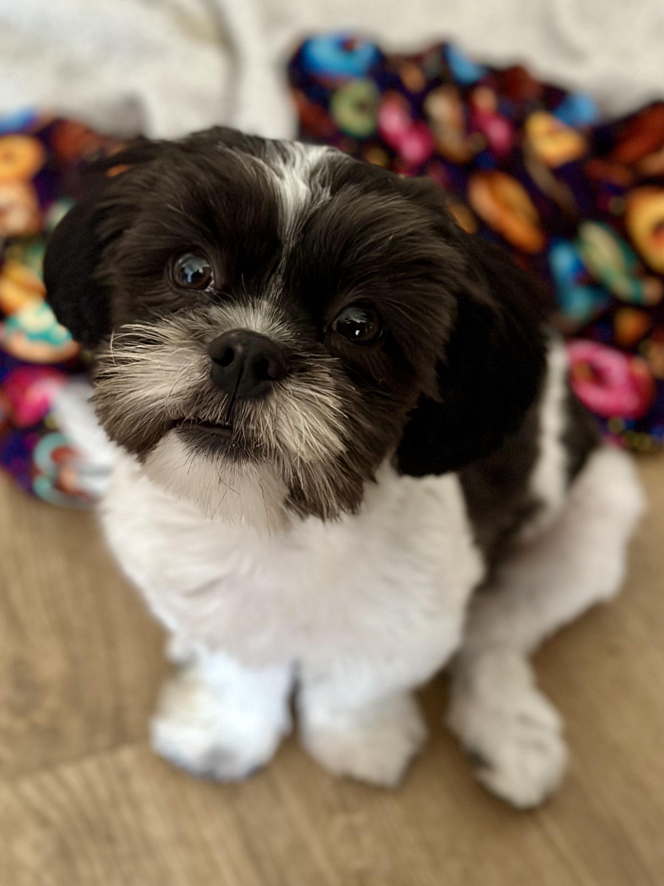 My handsome boy! | Scrolller