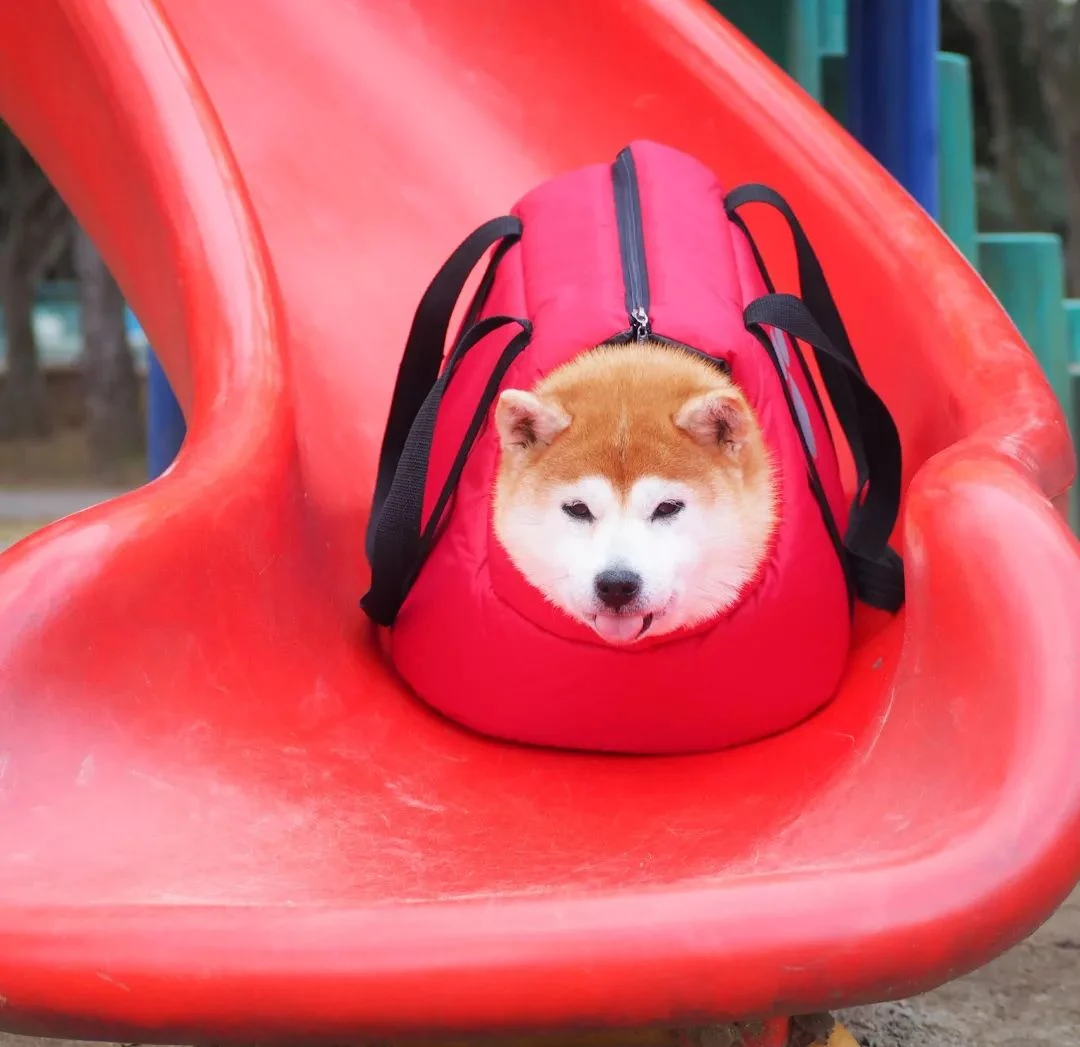 protective gear; bleb. | Scrolller