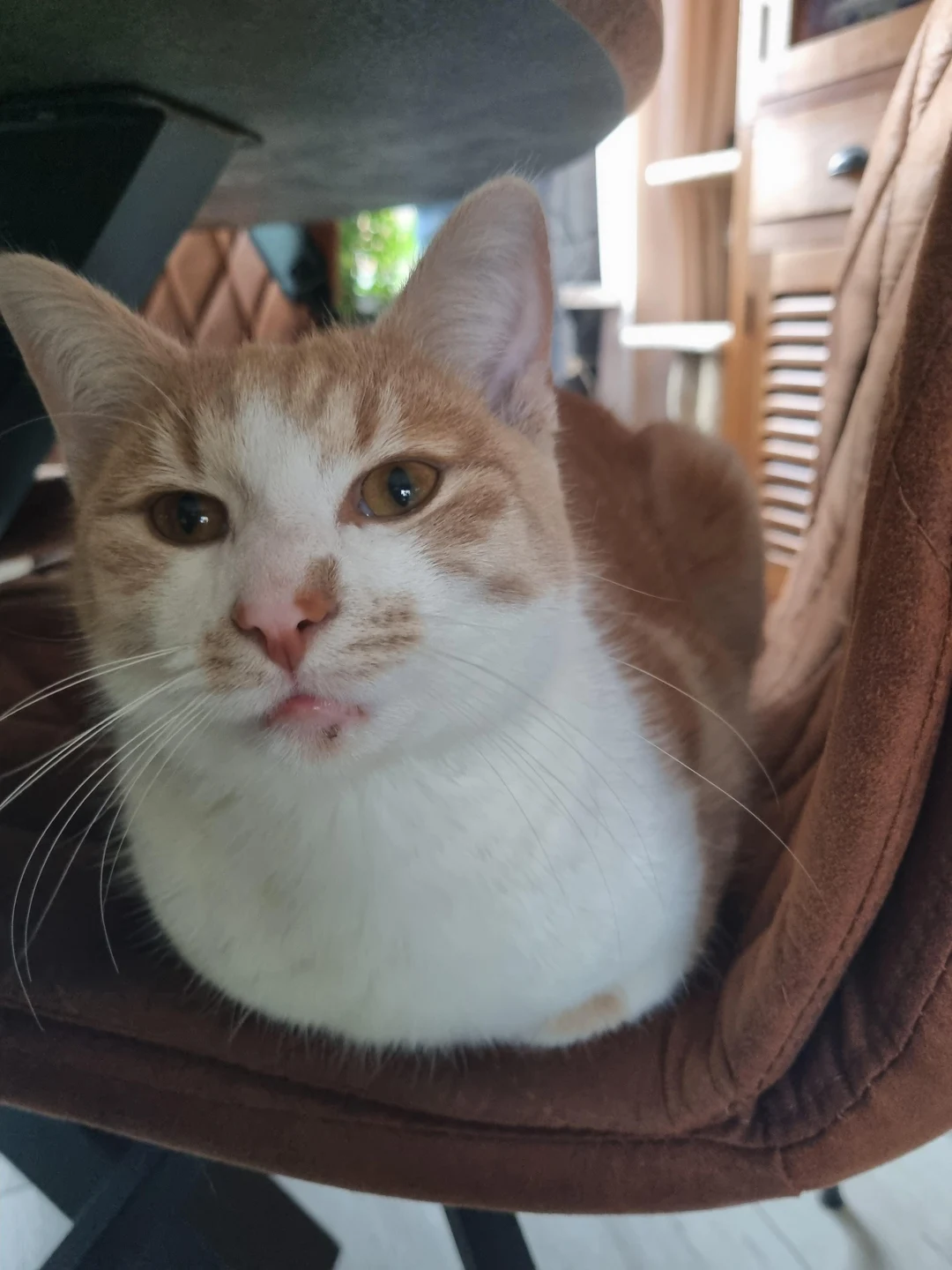 Such beautiful form | Scrolller