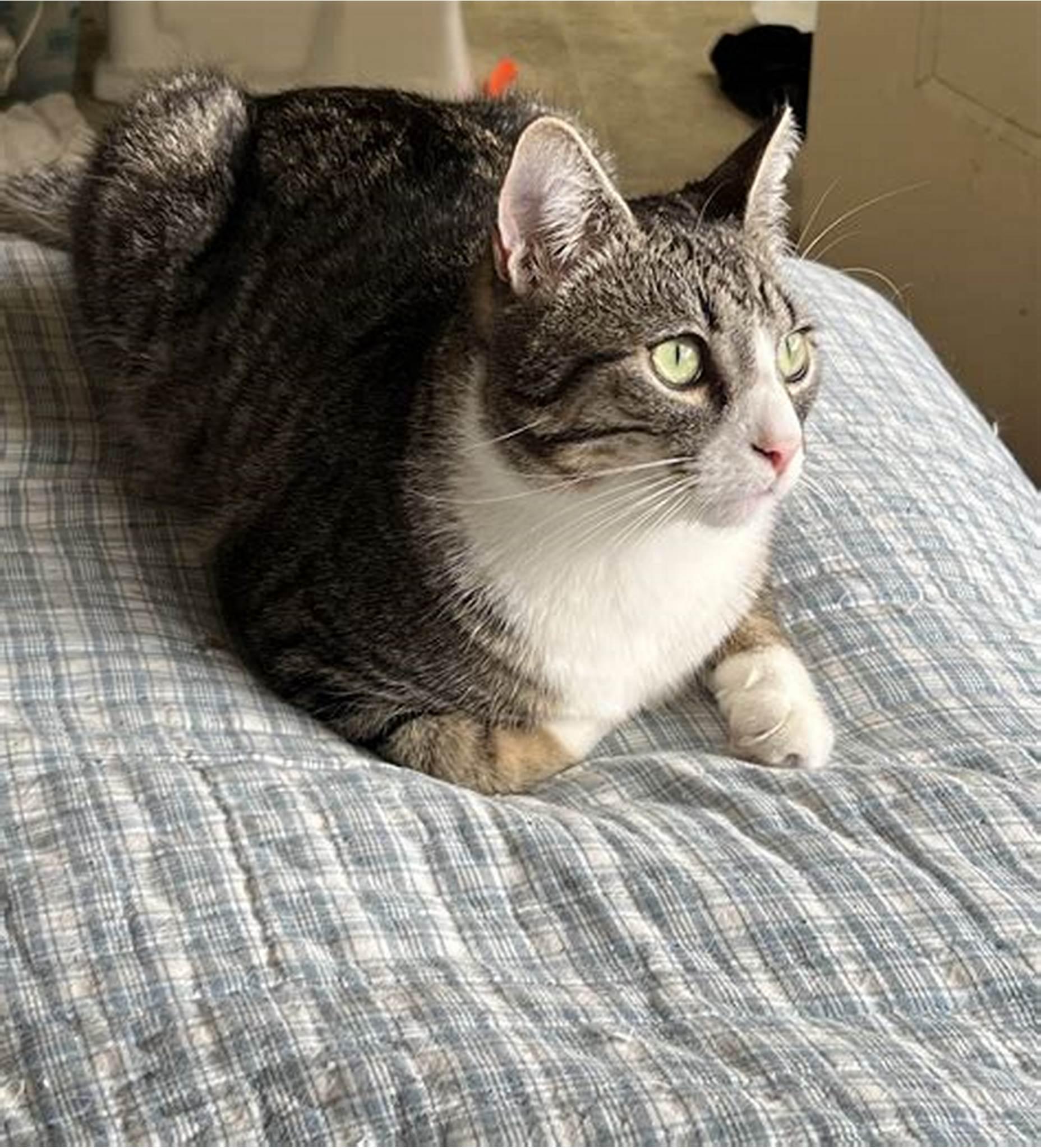 She want to go outside | Scrolller