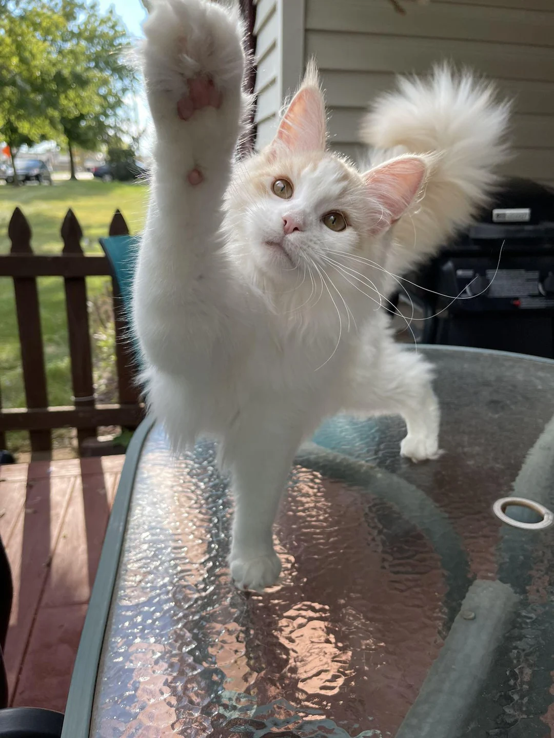 High five! | Scrolller