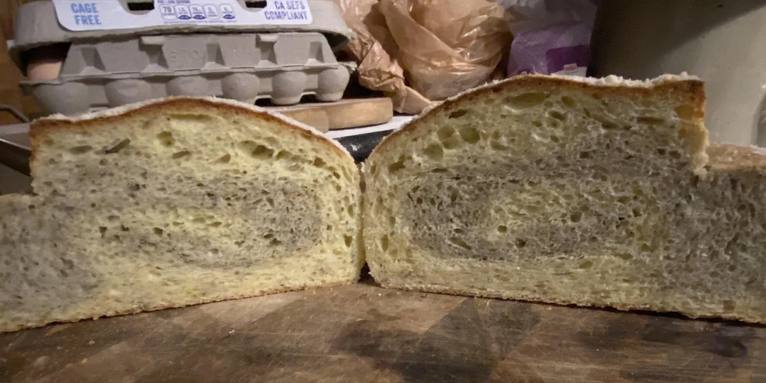 Sourdough brioche folded into whole grain sourdough bread | Scrolller