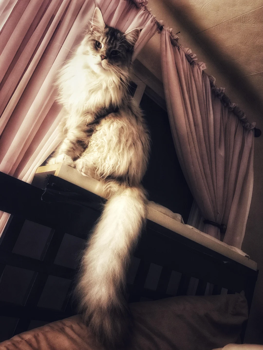 Papa guard my sleep | Scrolller