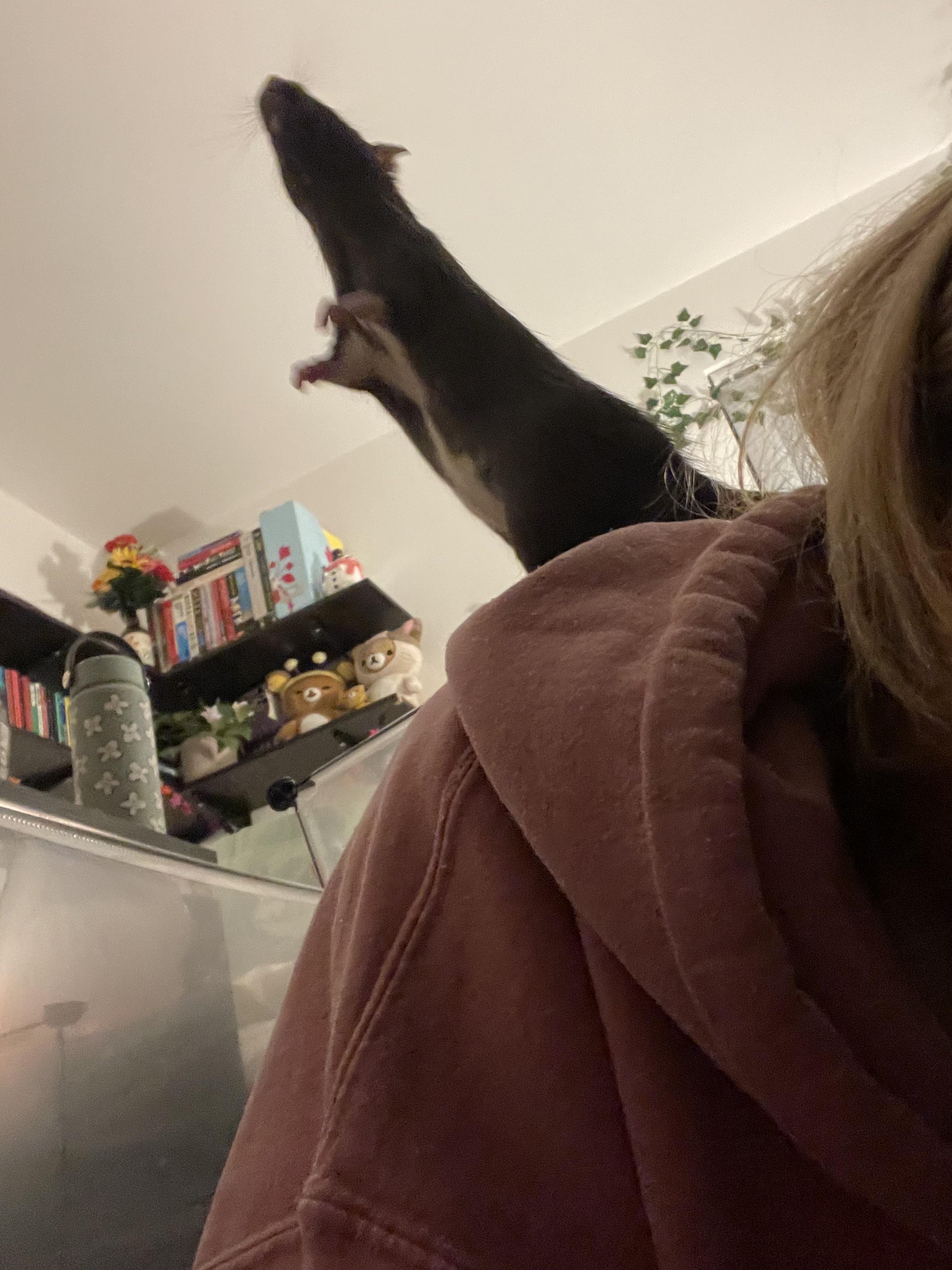 Things to look out for after a fall? | Scrolller