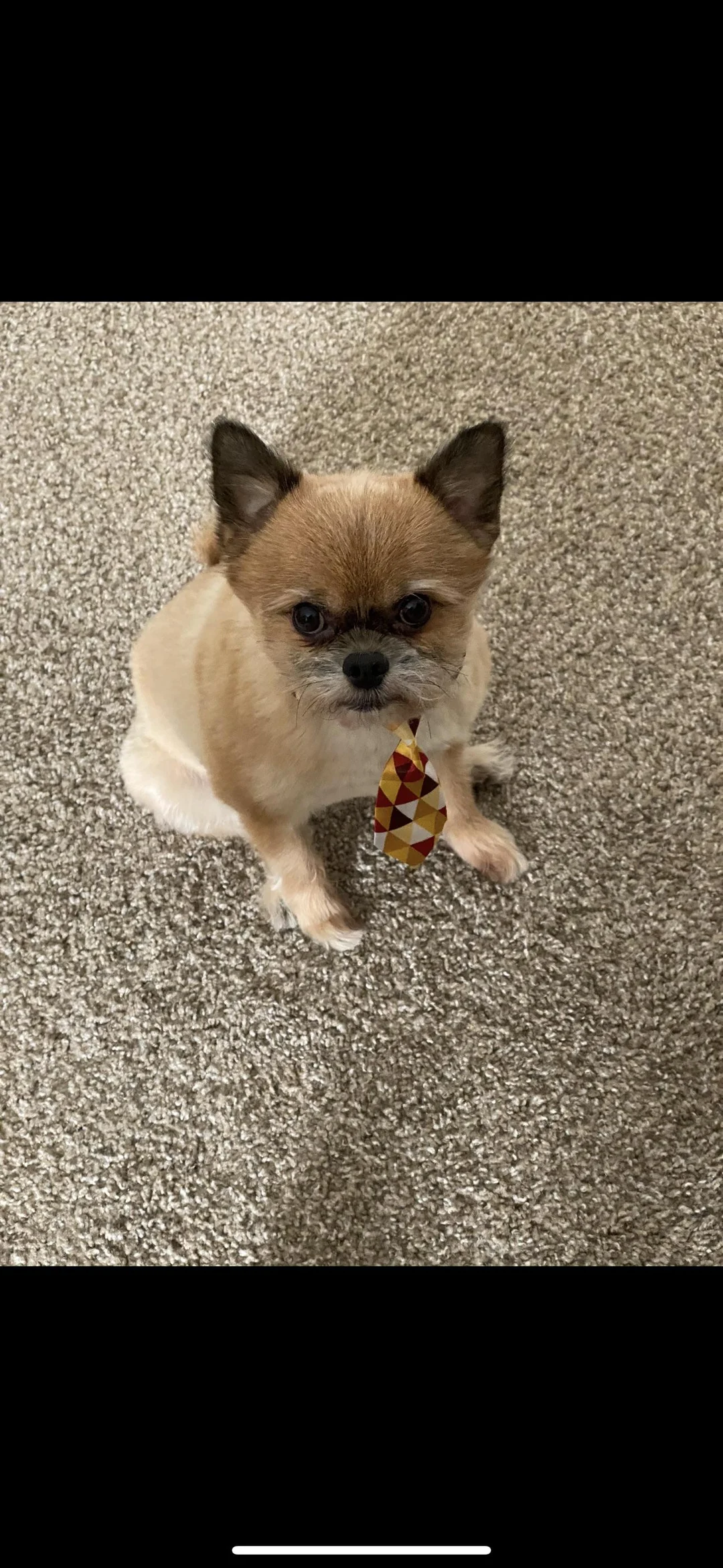 Ready for his presentation | Scrolller