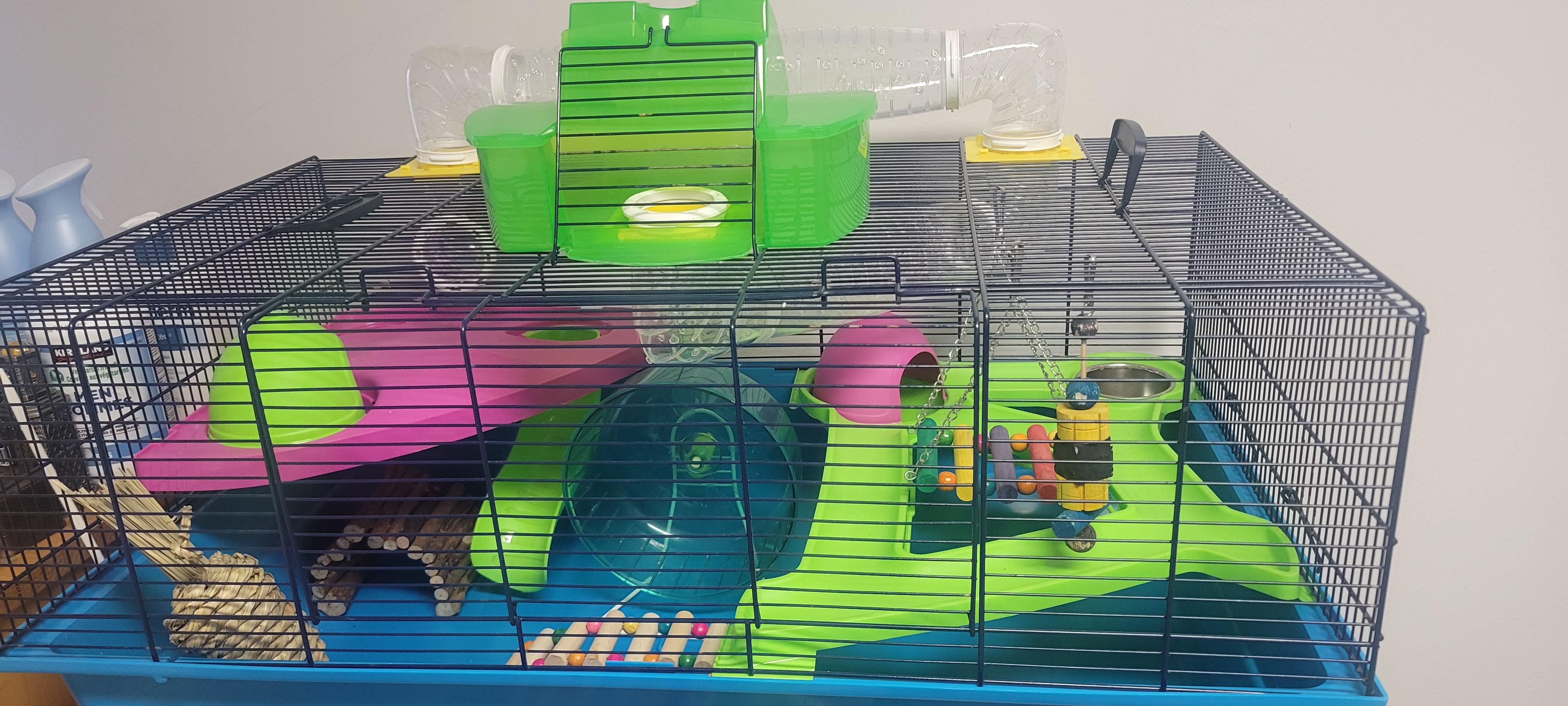 Is it a good cages? | Scrolller