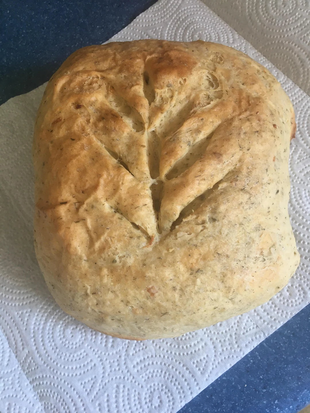 Wife’s first bread! | Scrolller