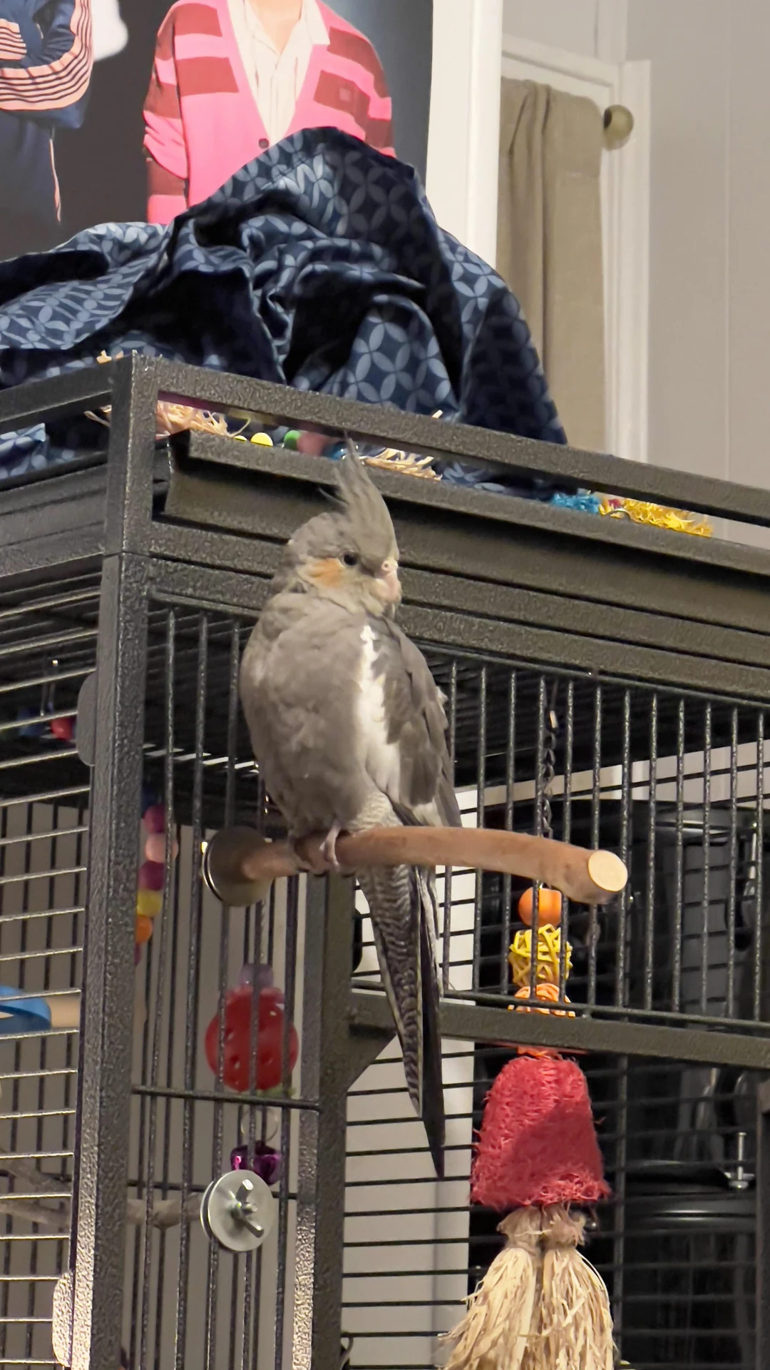 She’s plotting something and it isn’t good | Scrolller