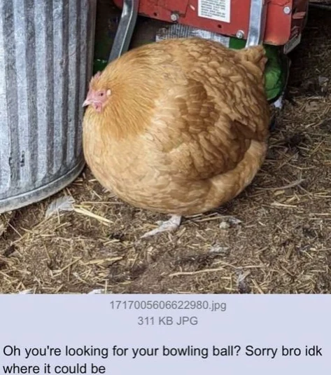 Bowling ball | Scrolller