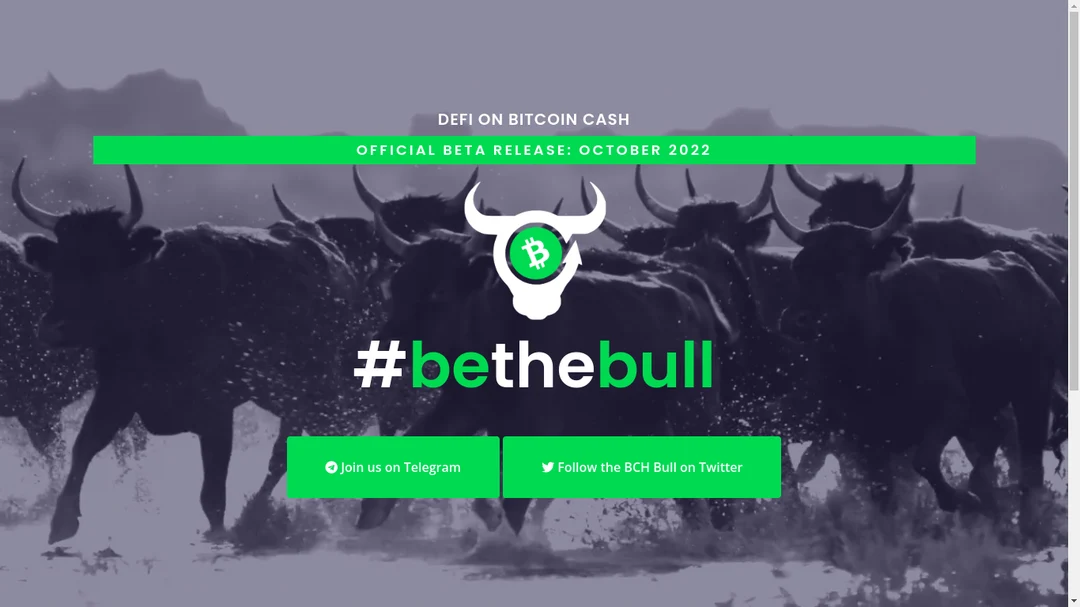 Excited for the official beta release of BCH Bull next month! | Scrolller