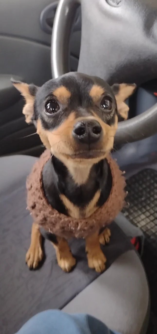 He looks like a goblin | Scrolller