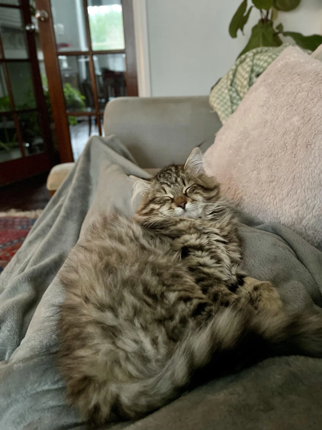 She’s smiling and snoozing | Scrolller