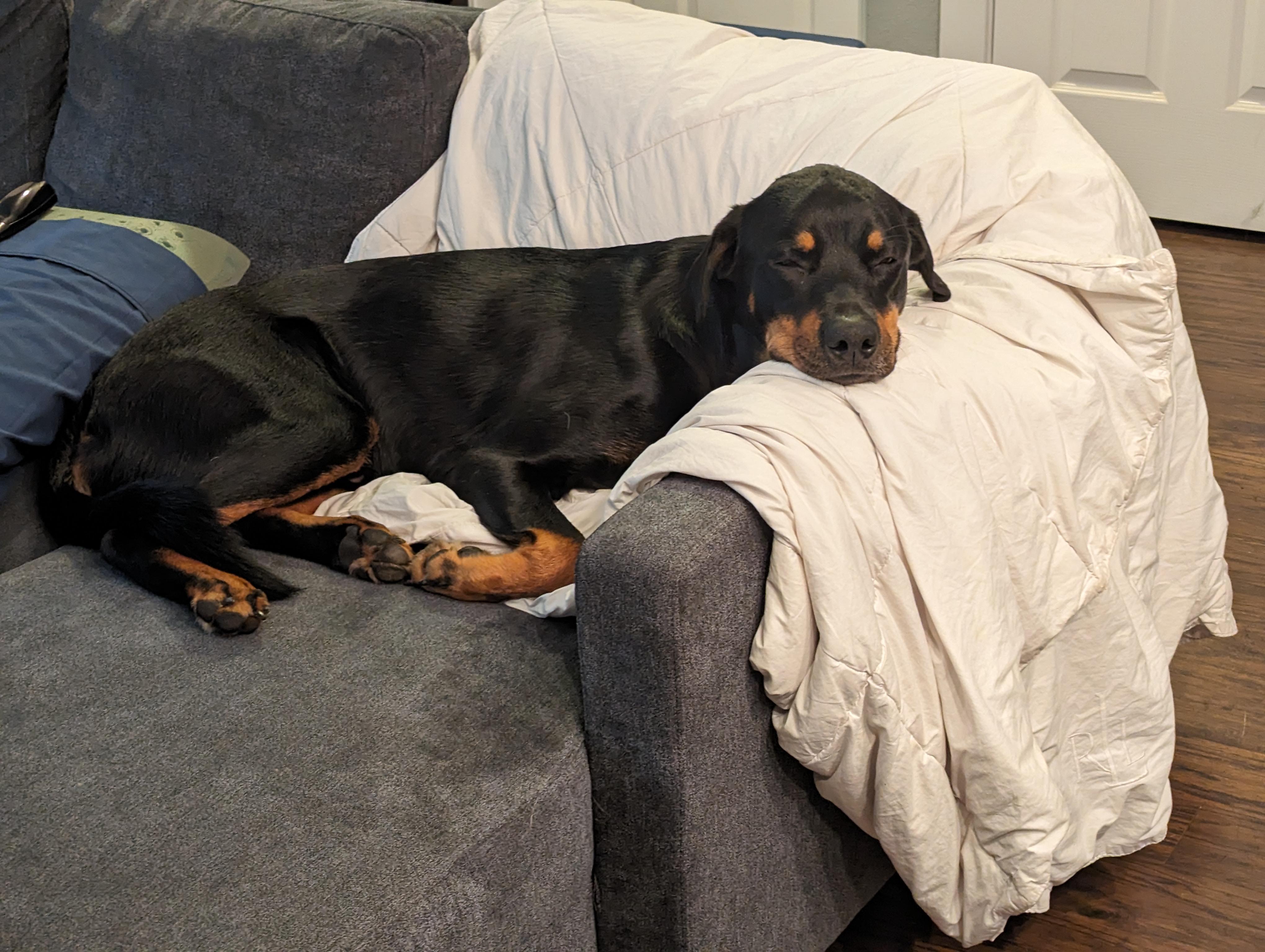 Complete relaxation | Scrolller