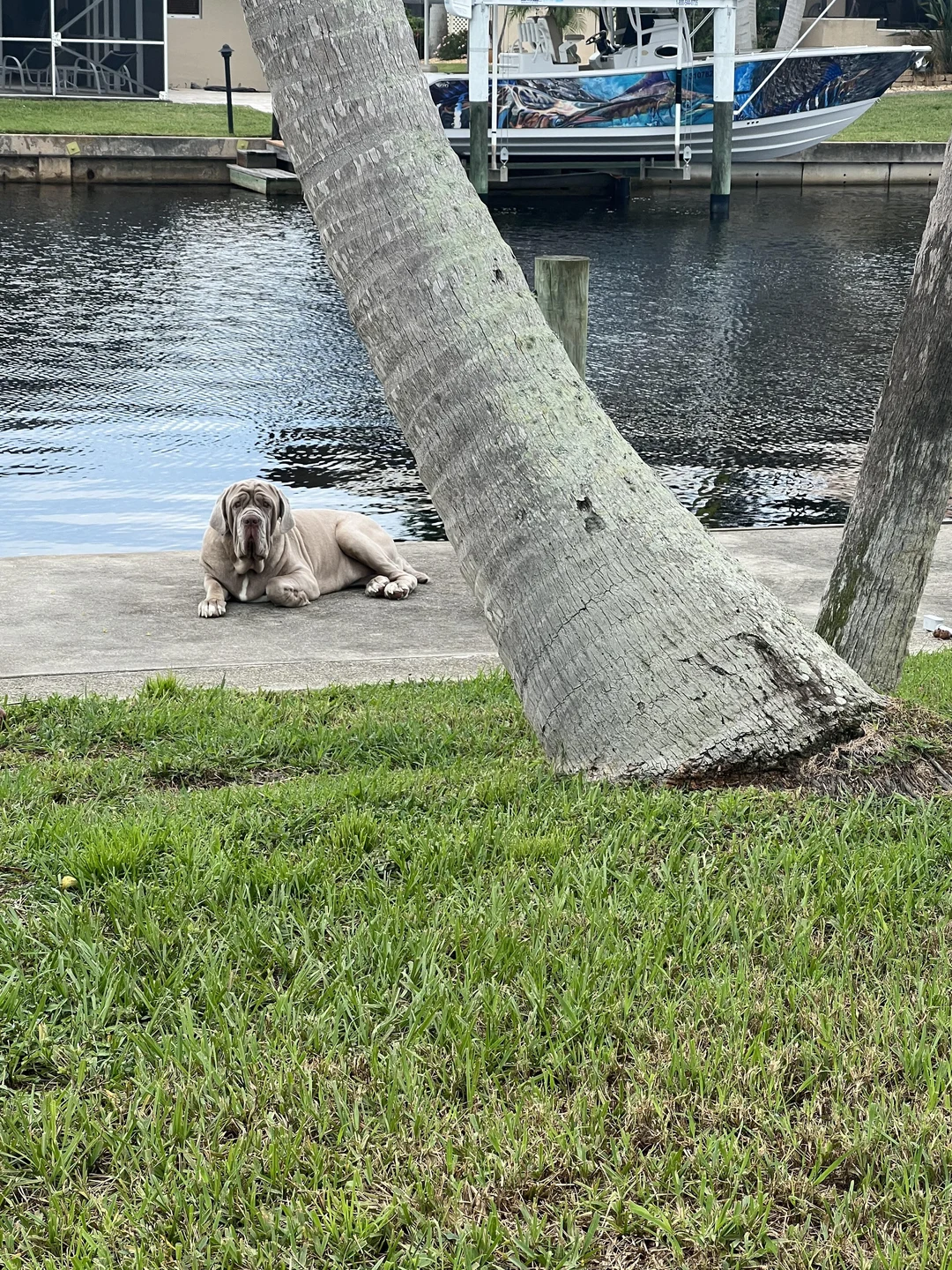 Dock Dog activated.. Oh Carmela Marie. | Scrolller