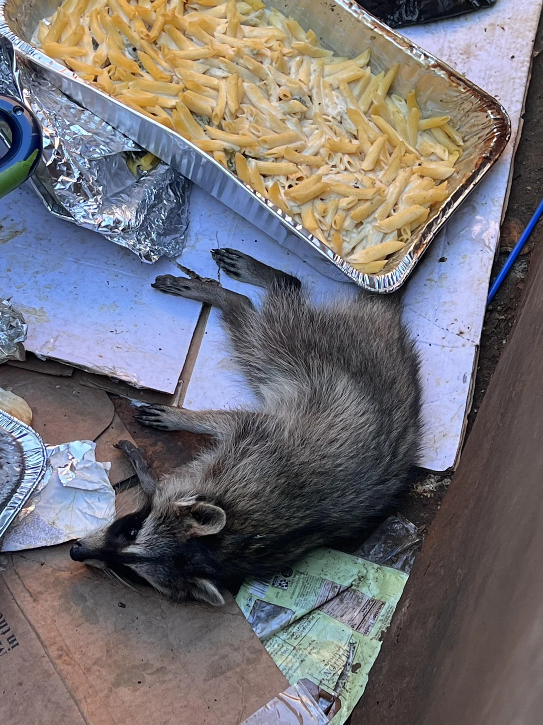 Someone had a big lunch | Scrolller