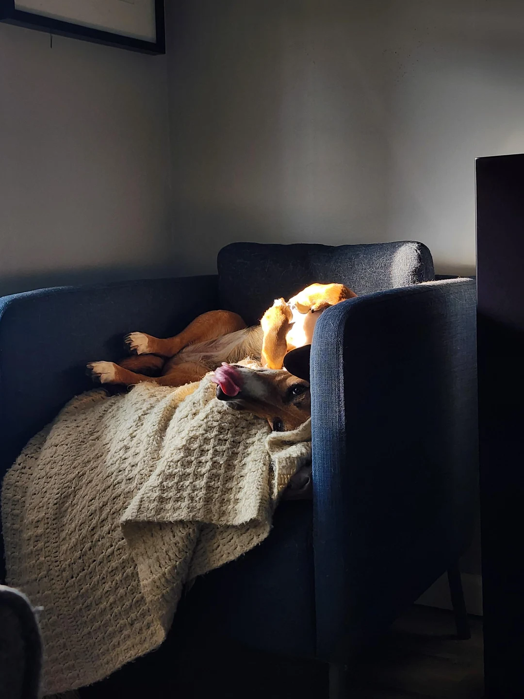 Just napping nothing to see here | Scrolller