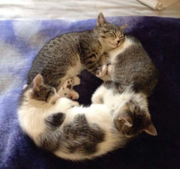 Bedtime. | Scrolller