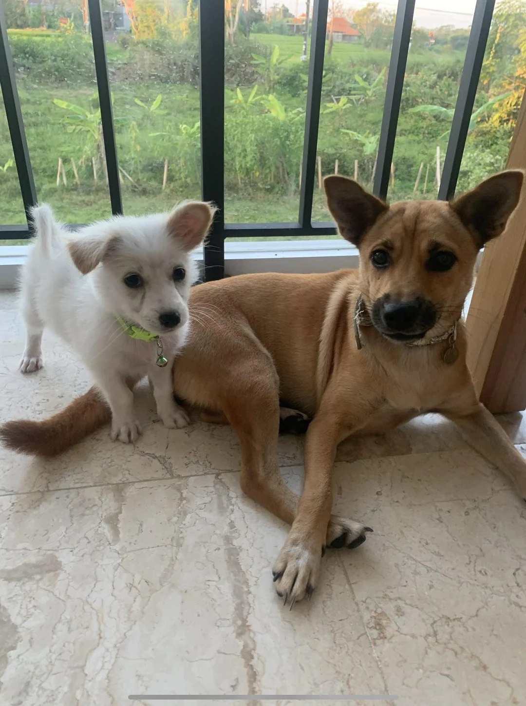 Discover more like Cute: Cute besties and Related Content | Scrolller