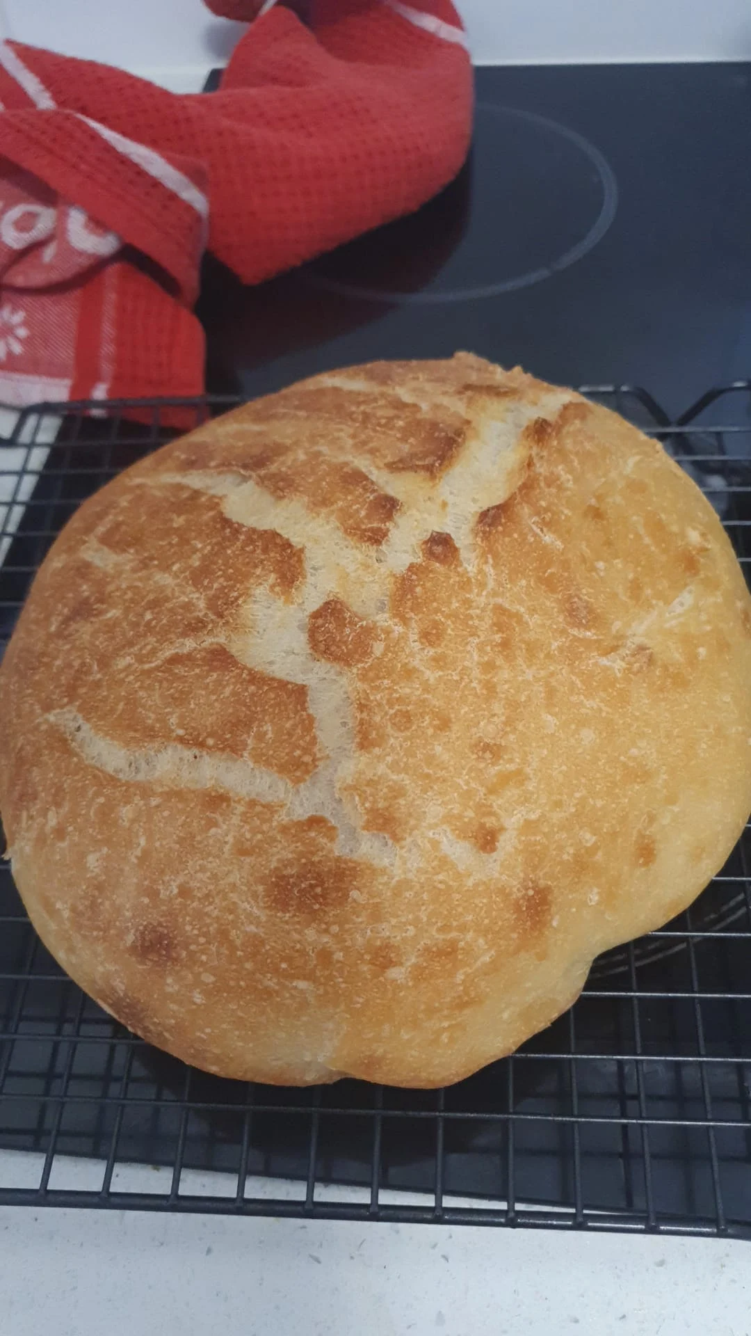 After a traumatizing failed attempt at Sourdough, here is my first ever successful loaf! Adam ...
