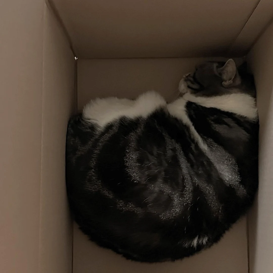 Best place for sleeping. | Scrolller